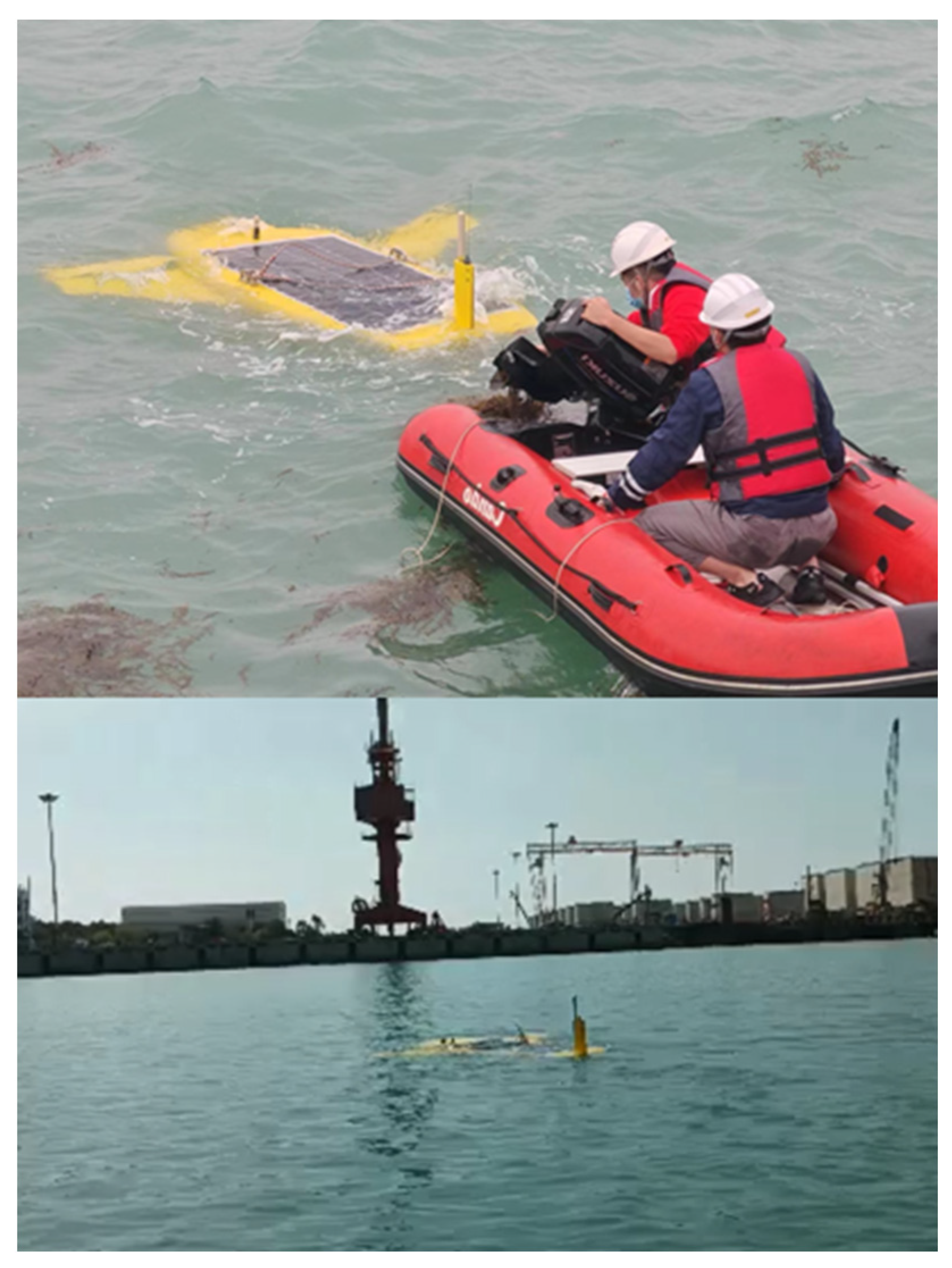 The Design and Application of a Vectored Thruster for a Negative Lift ...