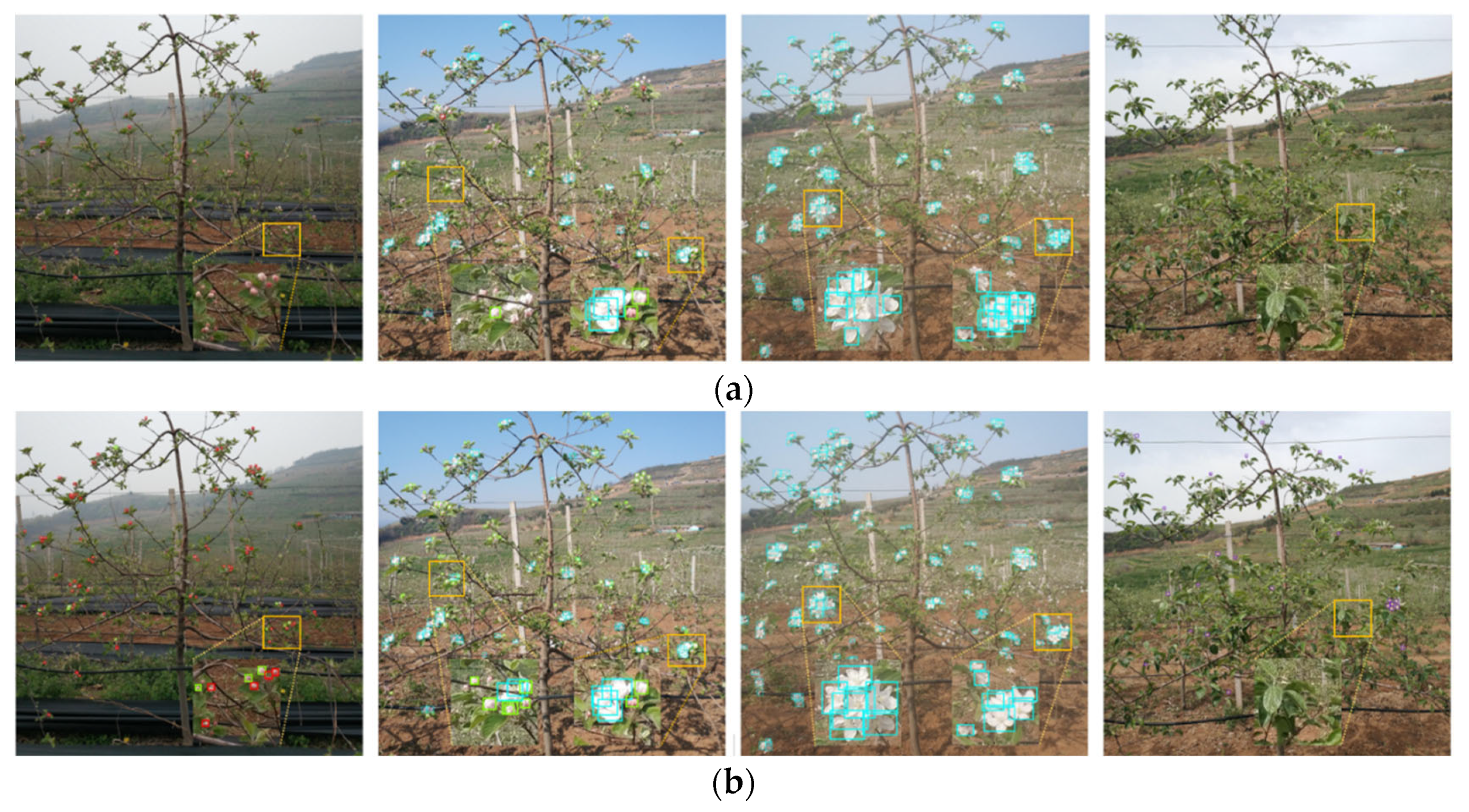 A Method of Modern Standardized Apple Orchard Flowering Monitoring ...