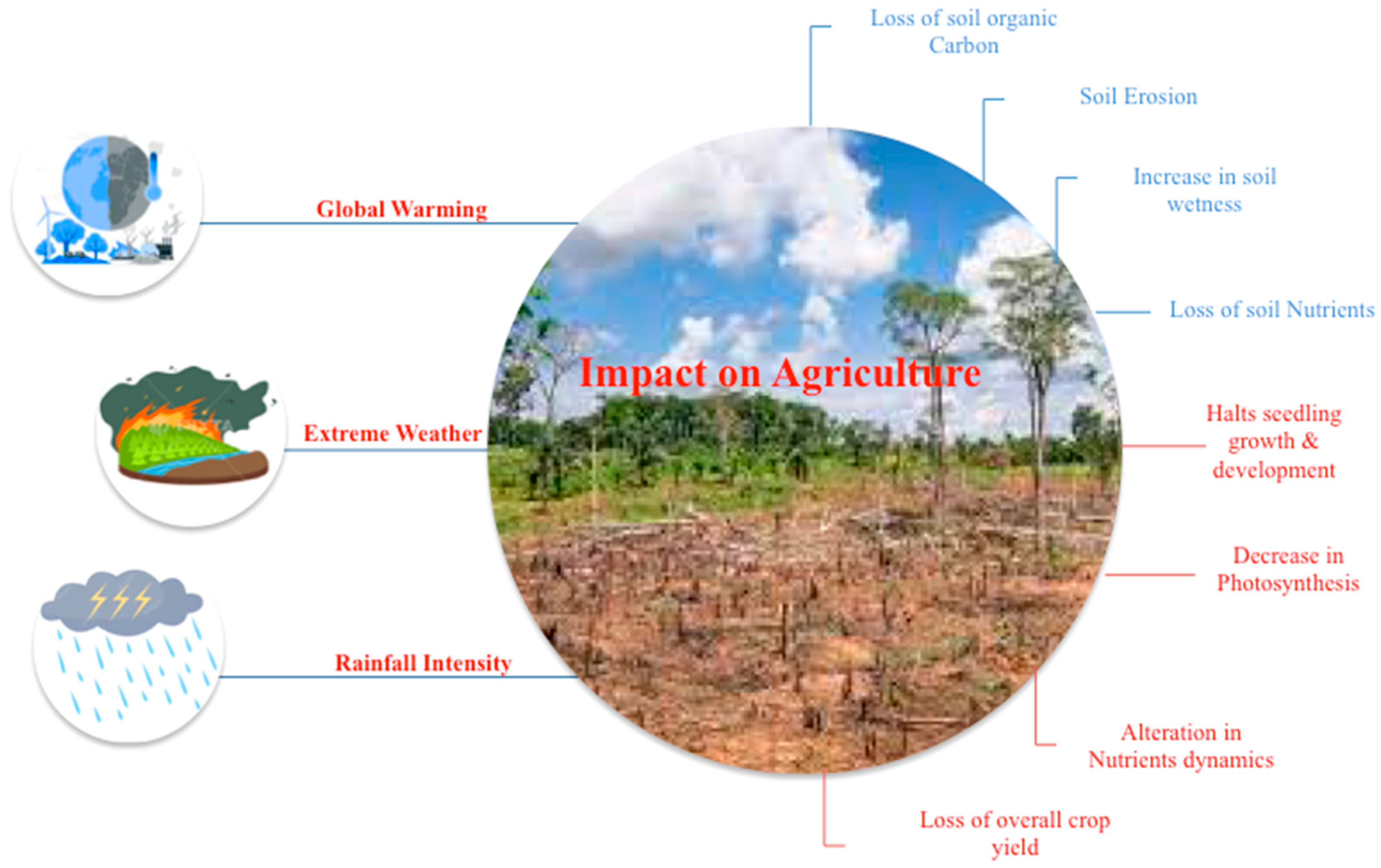 An Overview of Climate Change Impacts on Agriculture and Their ...