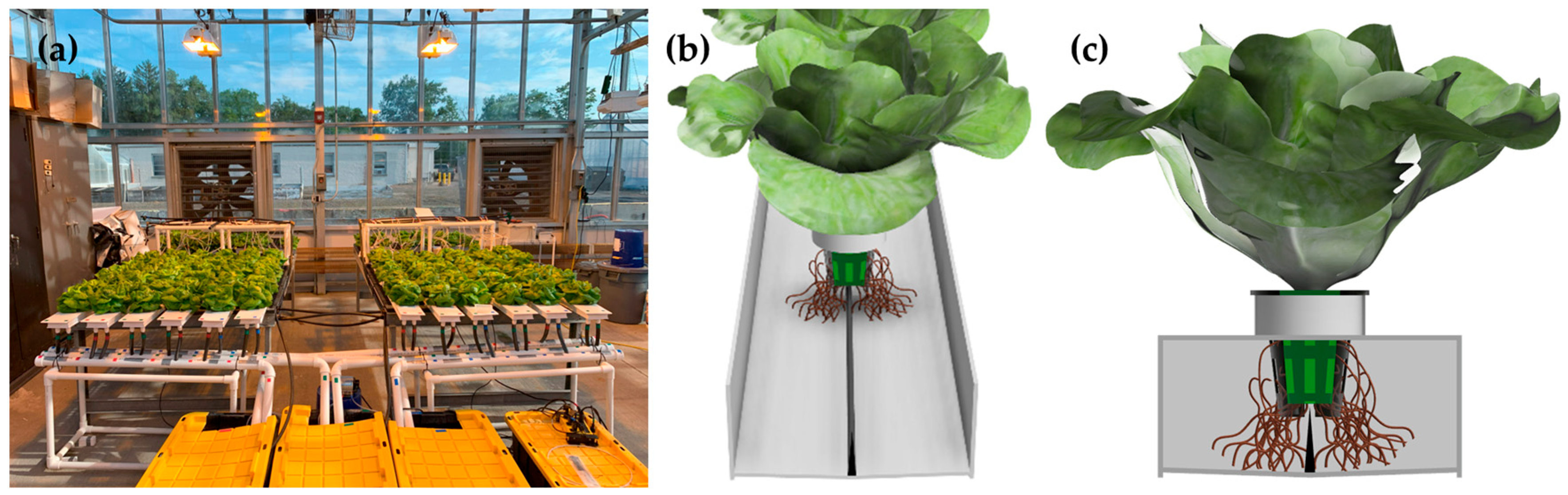 Evaluation of Split Root Nutrient Film Technique (SR-NFT) for Yield and ...
