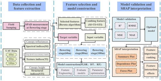 Contributions of Multiple UAV Features to Cotton SPAD Estimation from ...