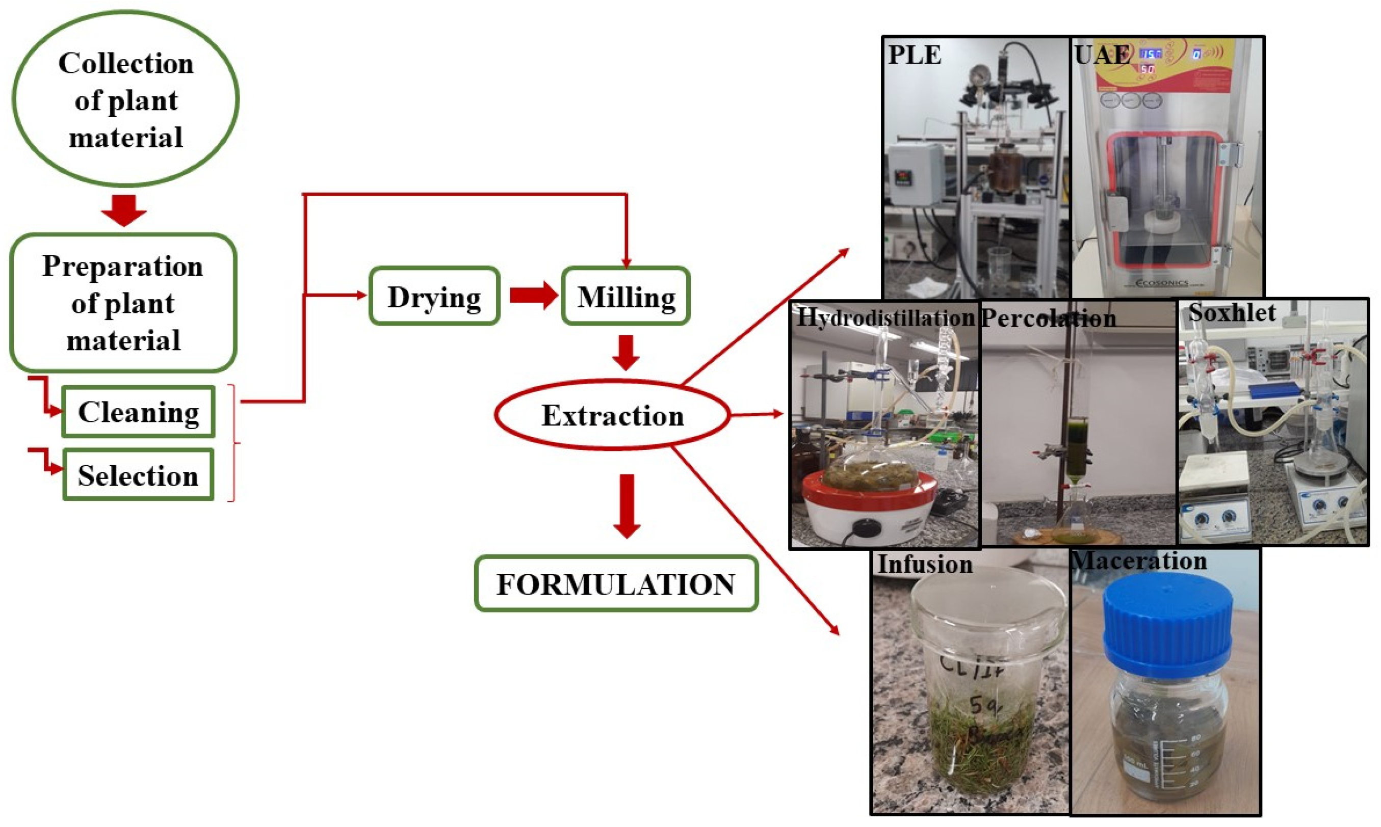 Plant-Based Bioherbicides: Review of Eco-Friendly Strategies for Weed ...