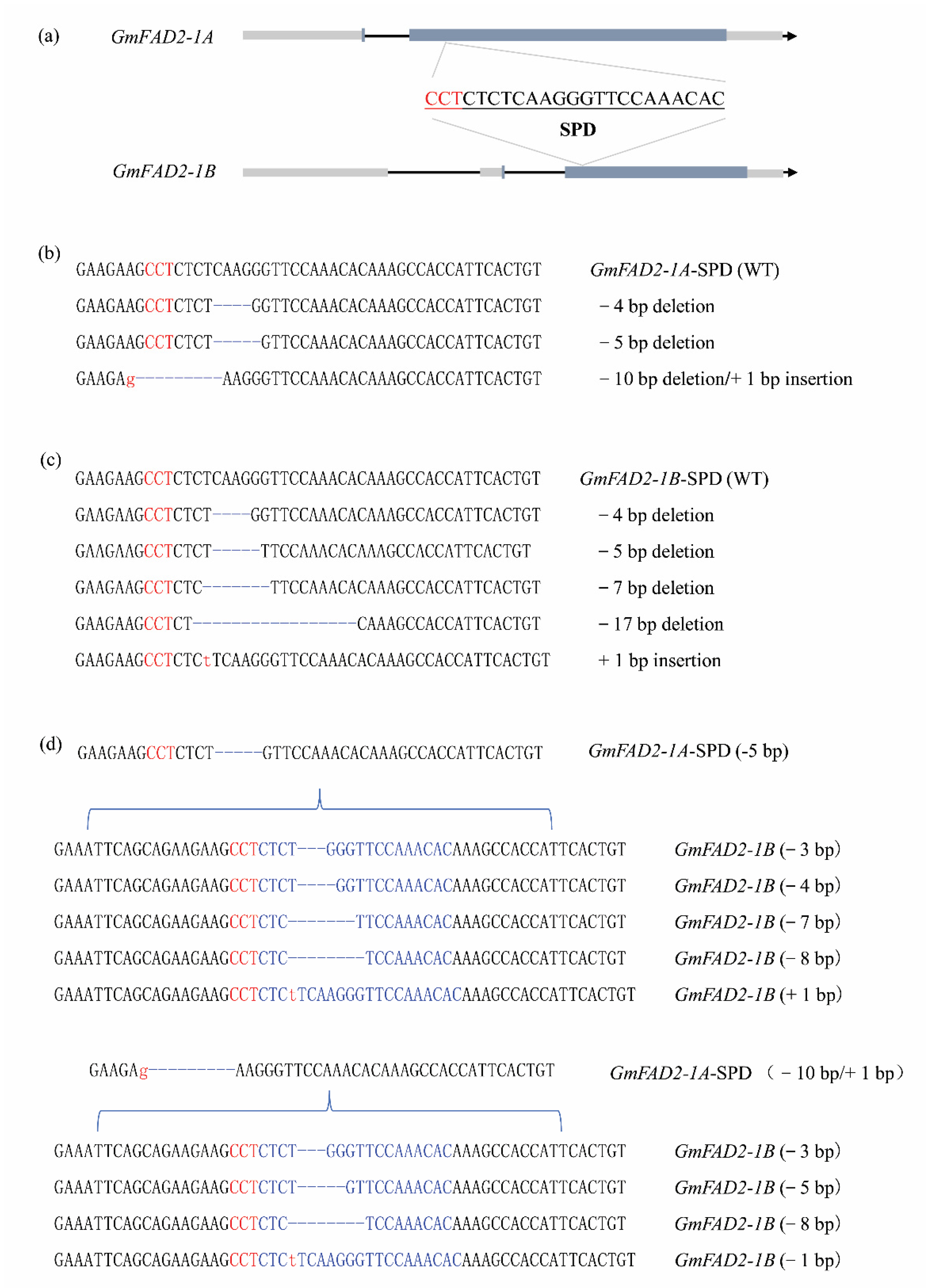 CRISPR/Cas9-Mediated Mutagenesis of GmFAD2-1A and/or GmFAD2-1B to ...