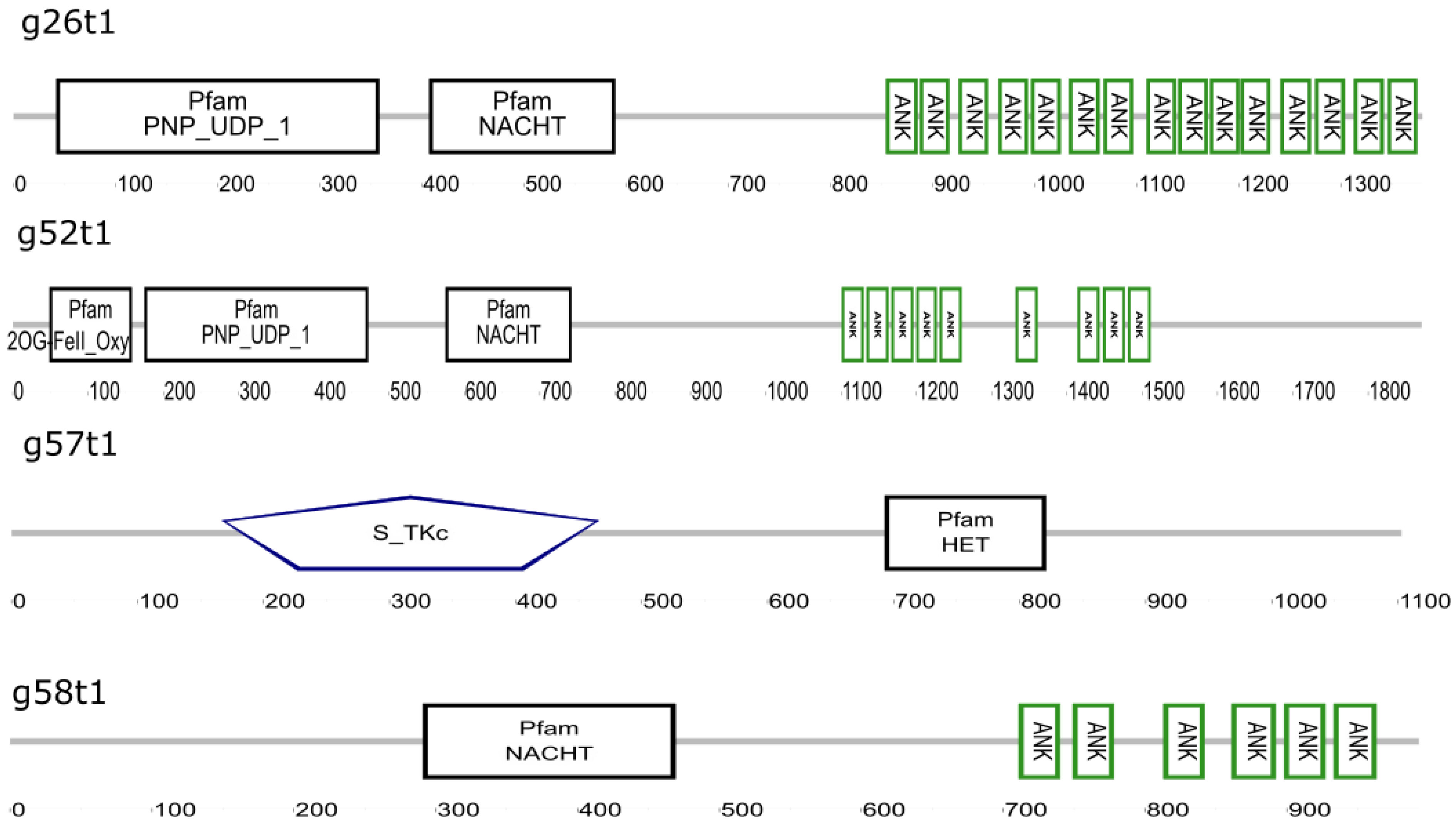 Annotation of the 12th Chromosome of the Forest Pathogen Fusarium ...