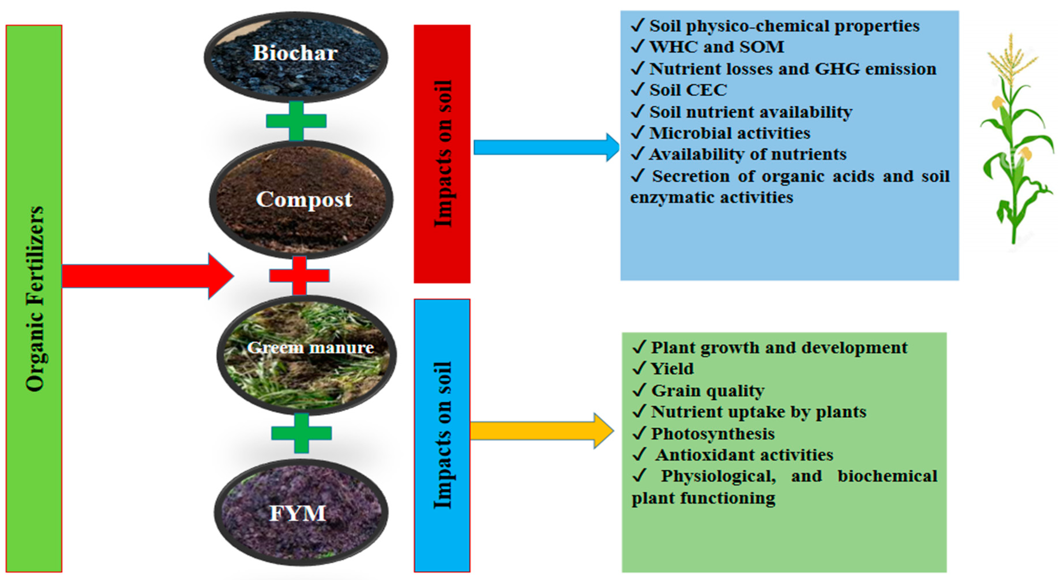 Multifaceted Ability of Organic Fertilizers to Improve Crop ...