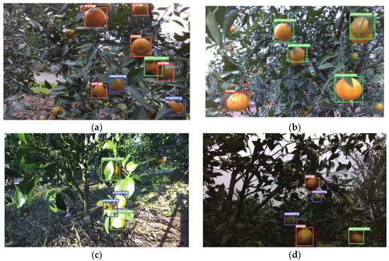 Key Technologies for Autonomous Fruit- and Vegetable-Picking Robots: A Review | MDPI
