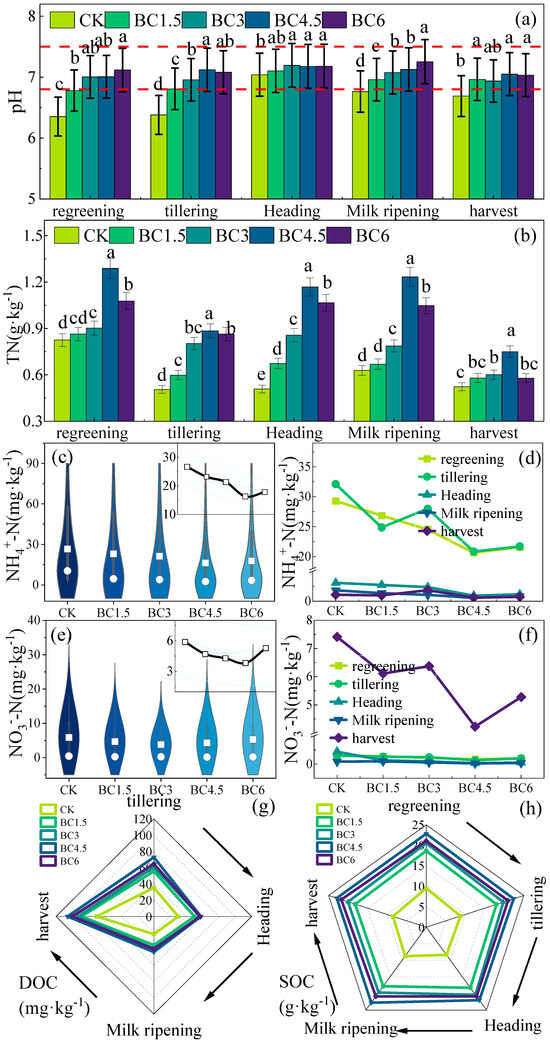 Biochar Enhances Paddy Productivity, Carbon Sequestration, and Reduces ...