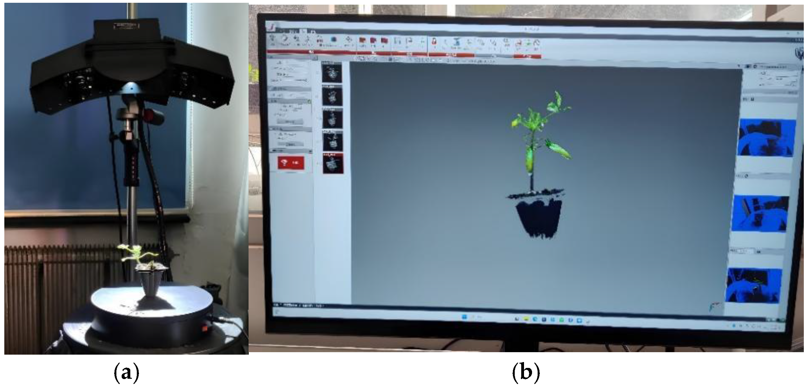 Stem and Leaf Segmentation and Phenotypic Parameter Extraction of ...