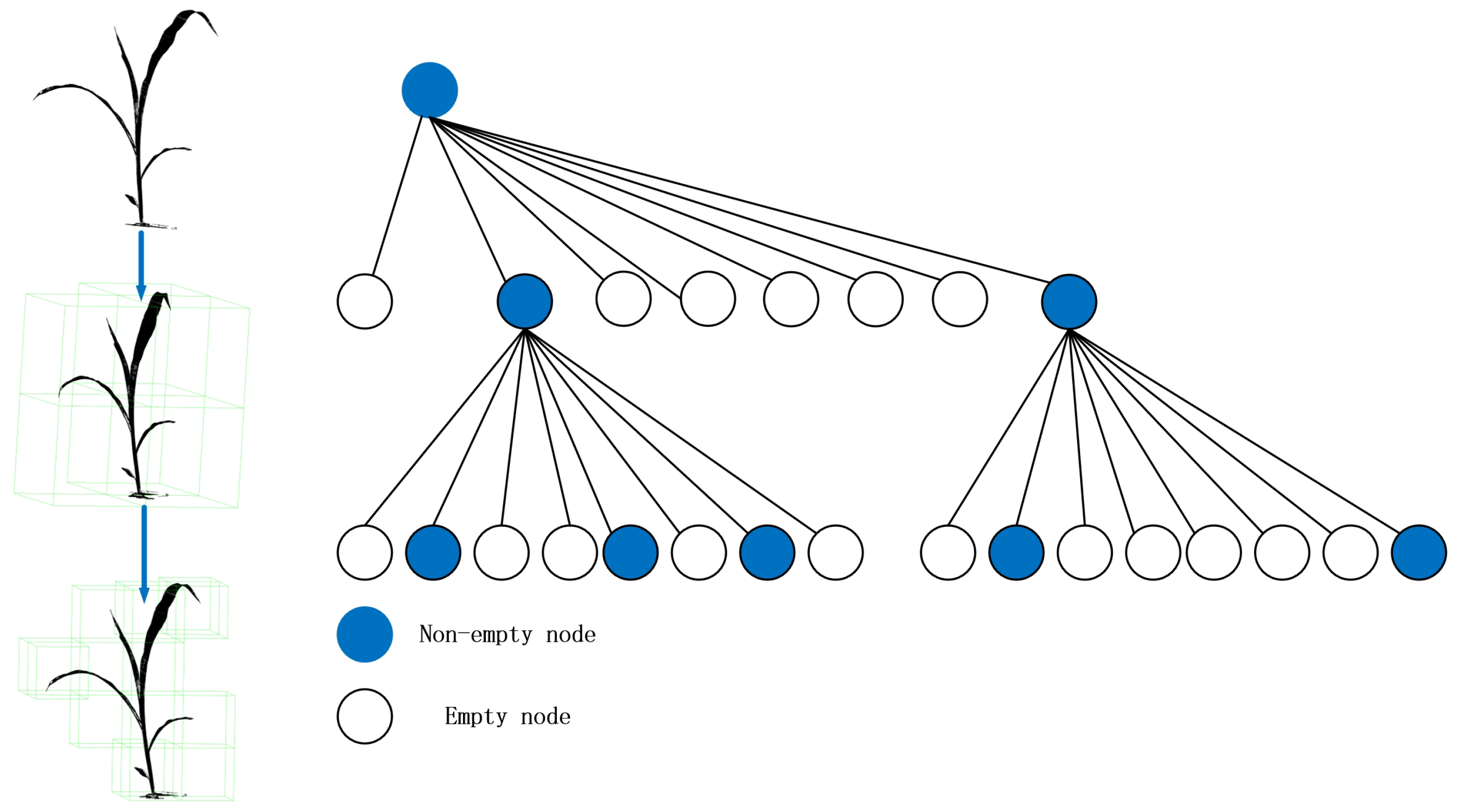 A Corn Point Cloud Stem-Leaf Segmentation Method Based on Octree ...