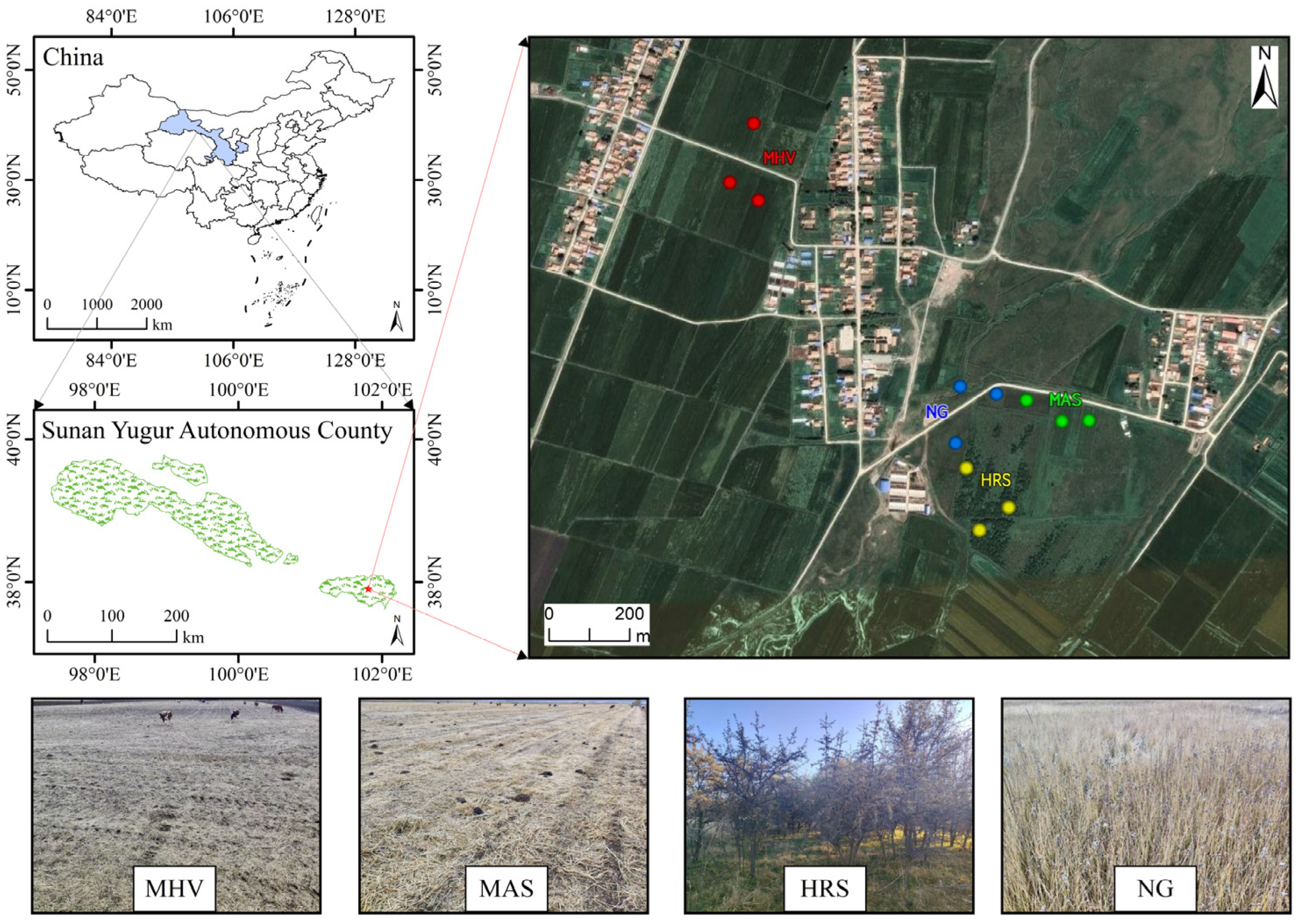 Monocropping Degrades Soil Quality Index and Soil Multifunctionality ...
