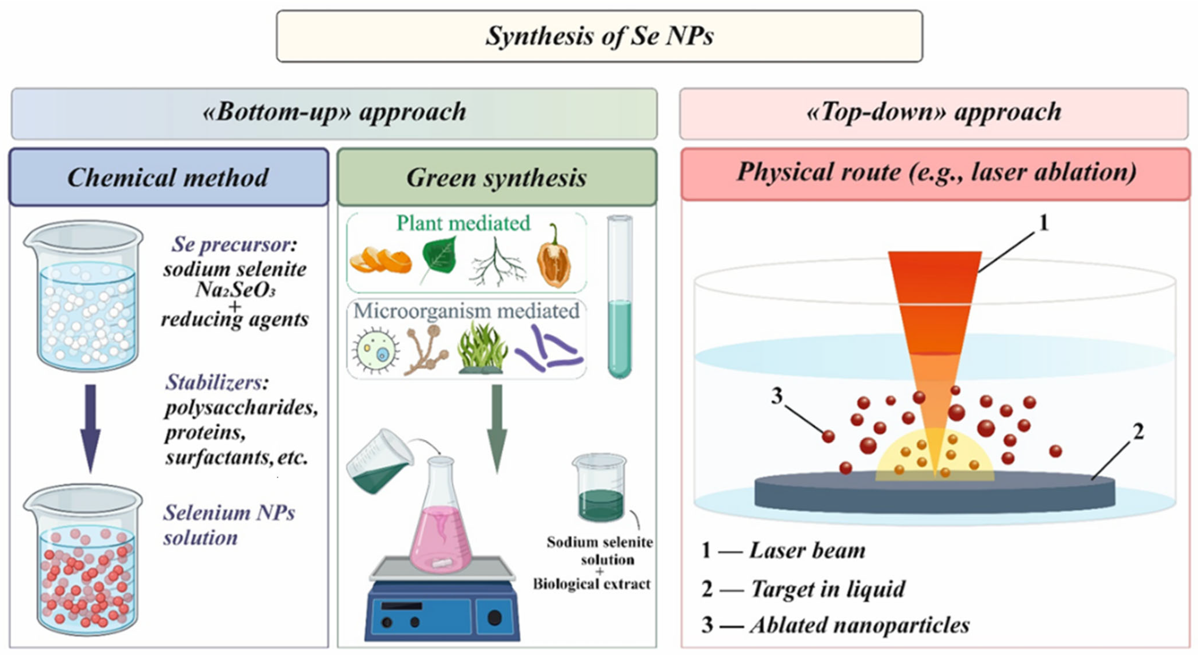 Selenium Nanoparticles (Se NPs) as Agents for Agriculture Crops with ...