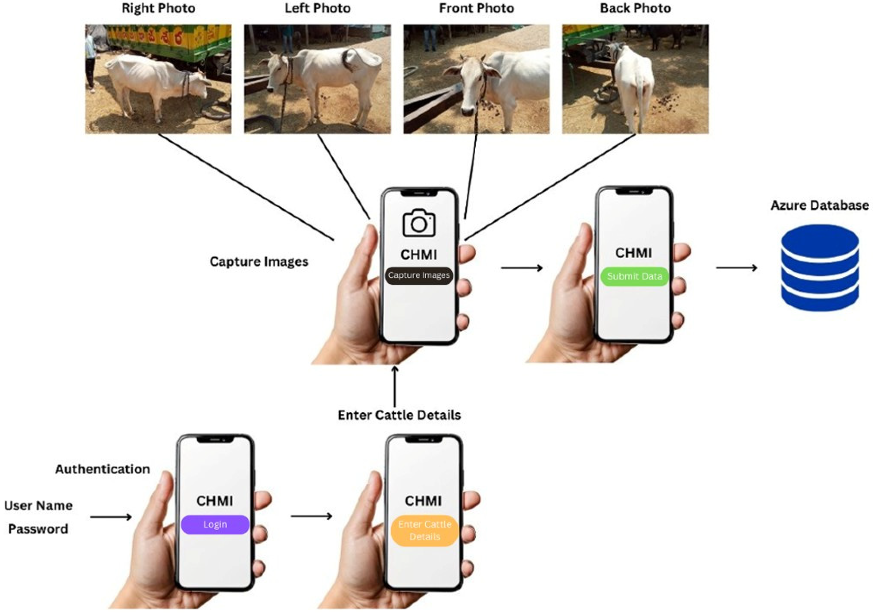 Empowering Rural Livestock Health: AI-Powered Early Detection of Cattle ...