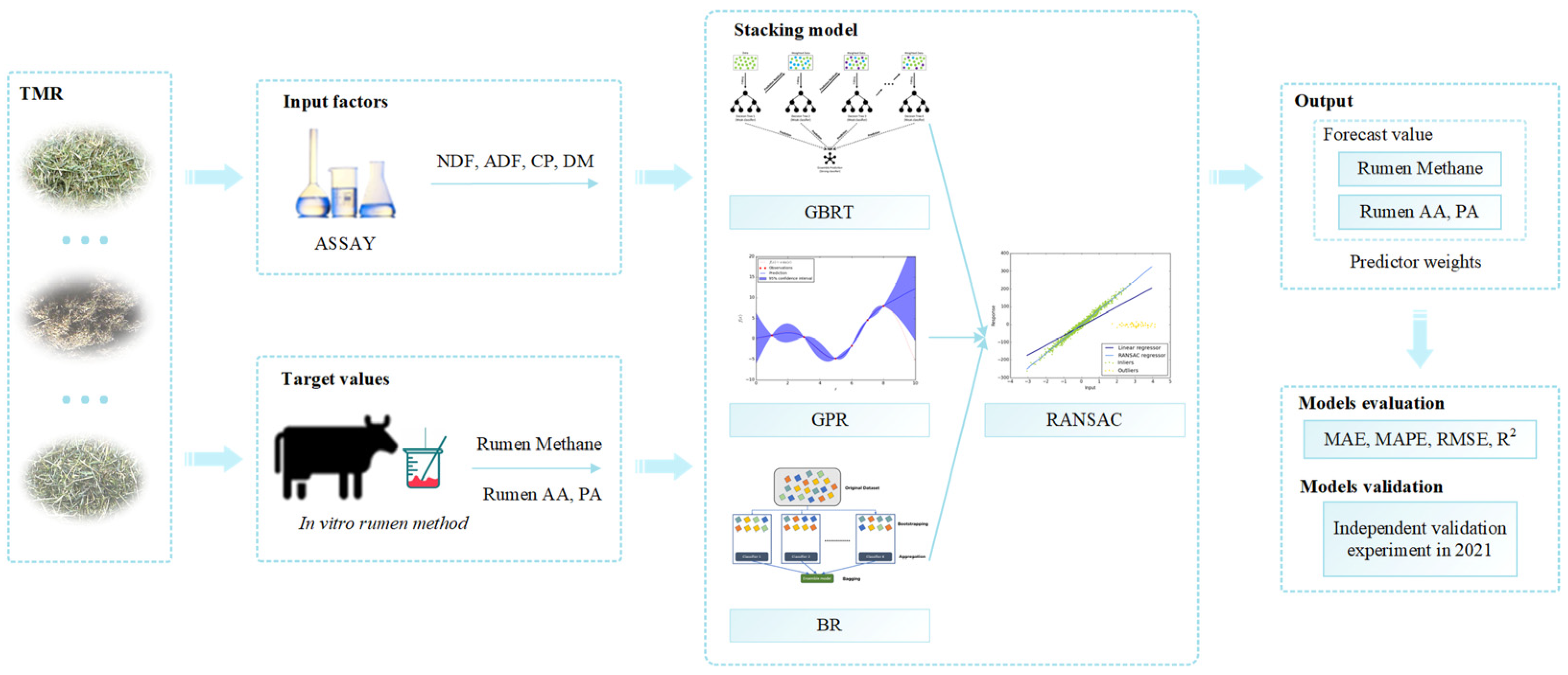 Rumen Fermentation Parameters Prediction Model for Dairy Cows Using a ...