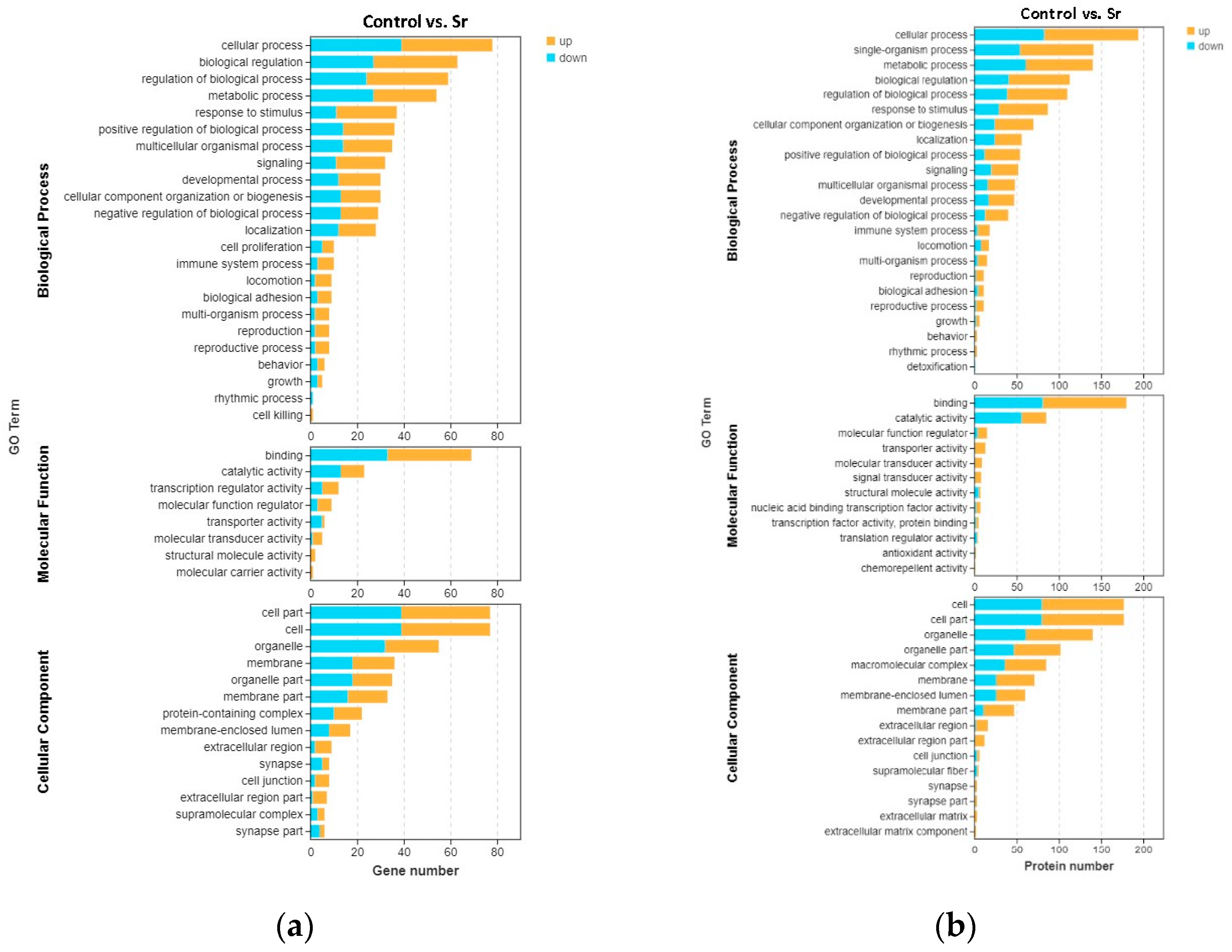 Transcriptomic and Proteomic Analyses Reveal New Insights into ...