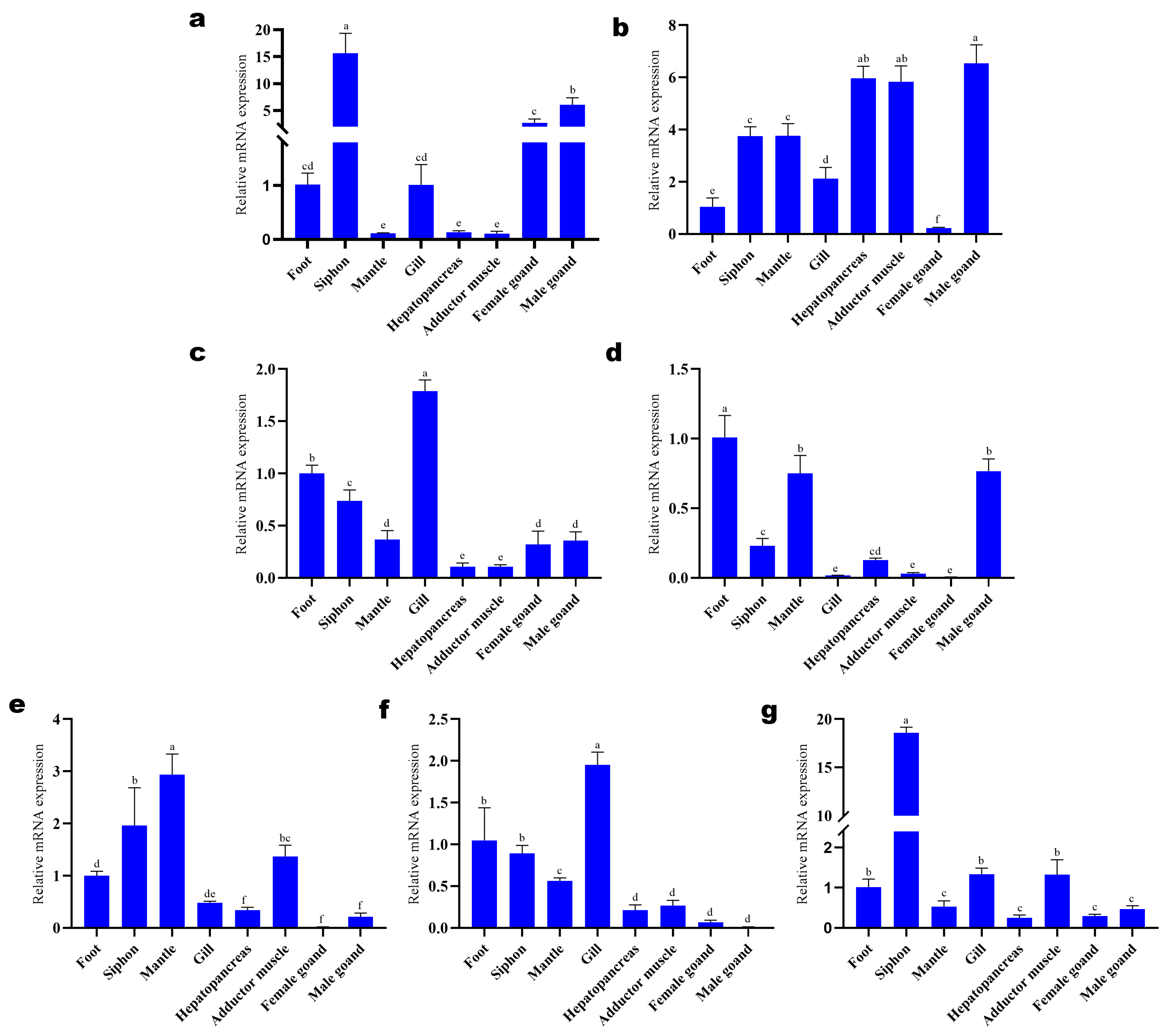 Genome-Wide Identification of 5-HT Receptor Gene Family in Razor Clam ...
