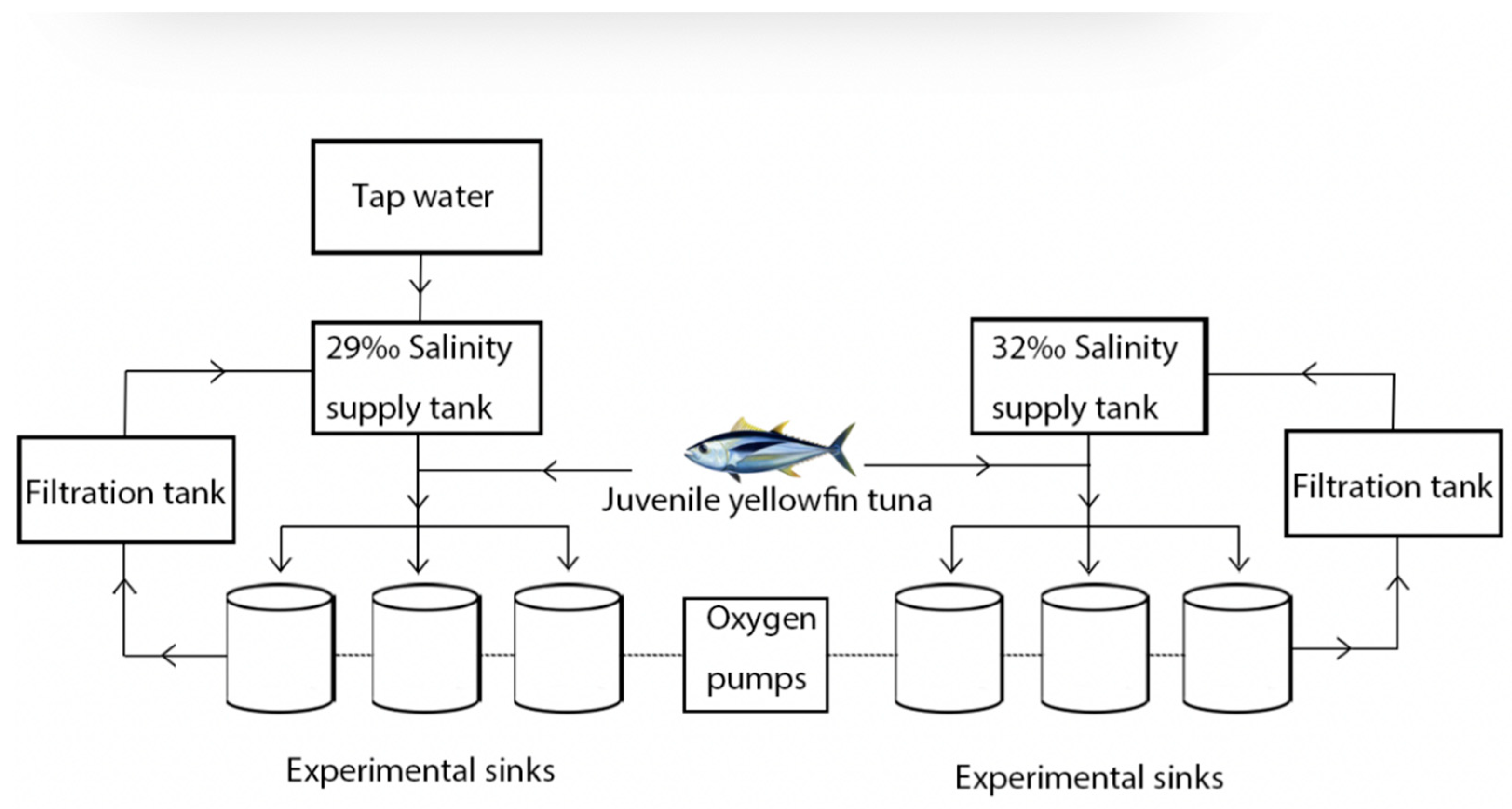 Mechanisms of Digestive Enzyme Response to Acute Salinity Stress in ...