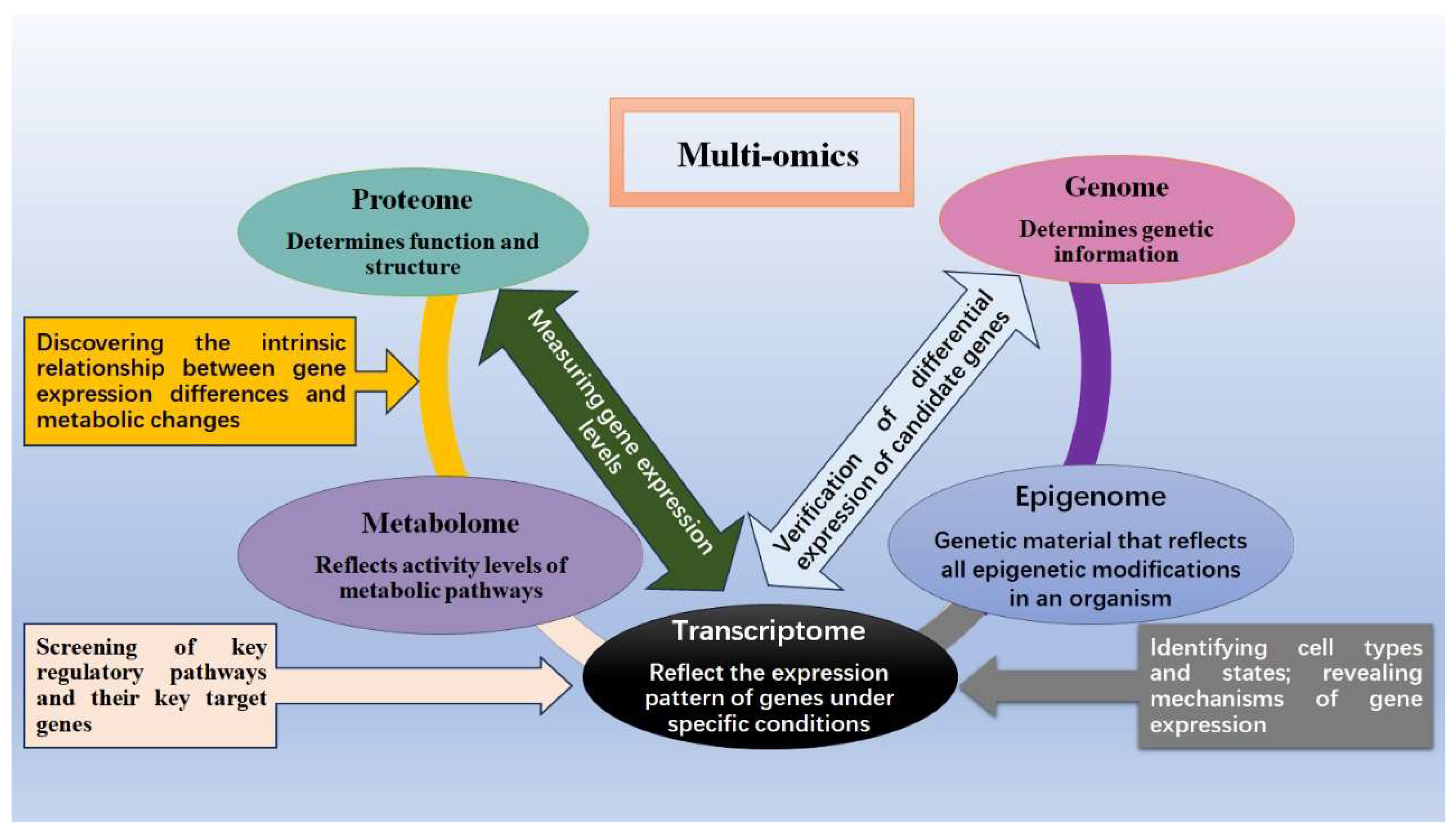 Pan-Omics in Sheep: Unveiling Genetic Landscapes | MDPI