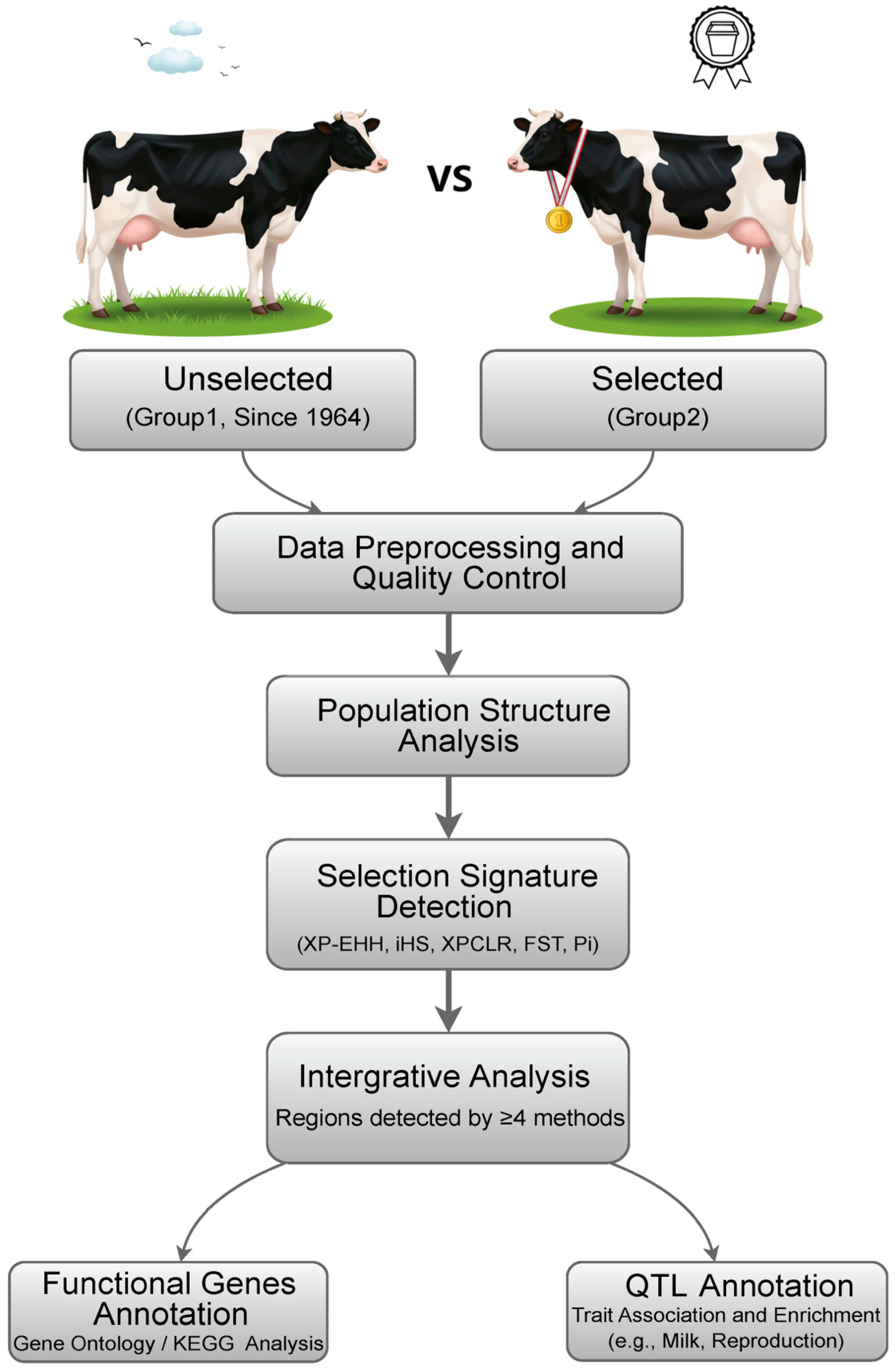 Selection Signature Analysis of Whole-Genome Sequences to Identify Genome Differences Between ...