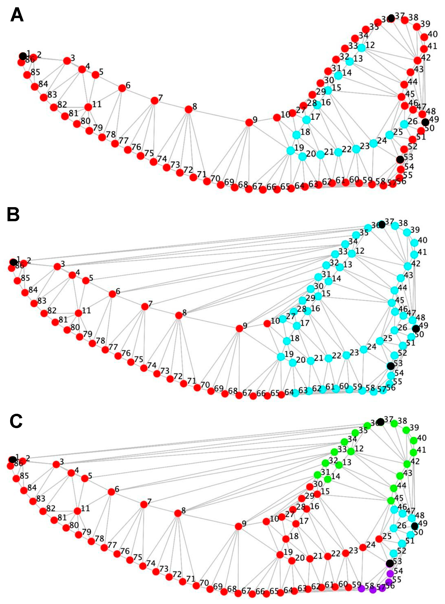 Mandibular Shape Variation, Allometry and Modularity in Adult ...