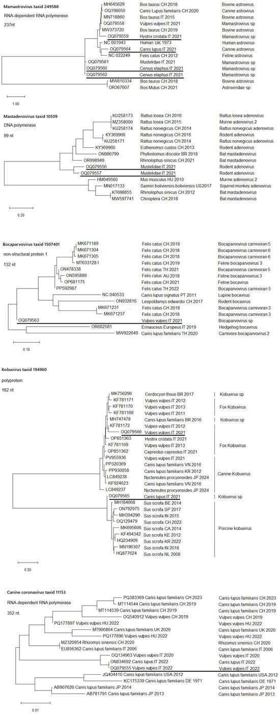 Fecal Sample Surveillance of the Wildlife Virome in Central Italy ...