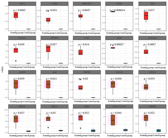The Effect of Training on the Expression of Protein and Metabolites in ...