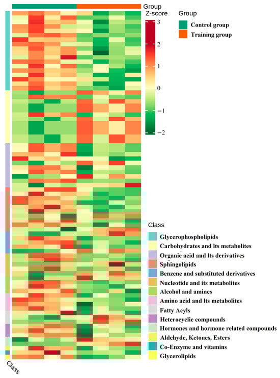 The Effect of Training on the Expression of Protein and Metabolites in ...