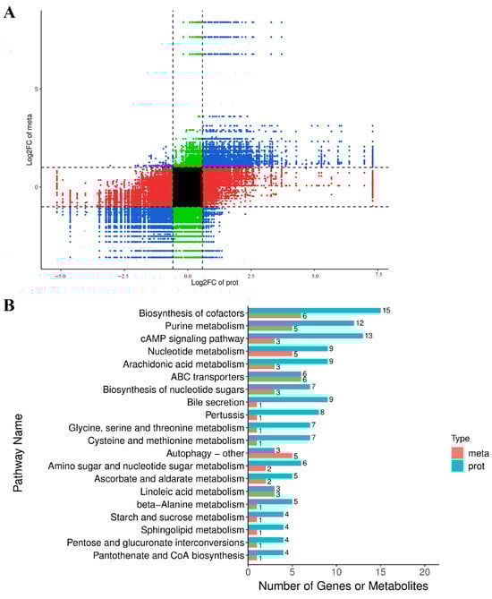 The Effect of Training on the Expression of Protein and Metabolites in ...