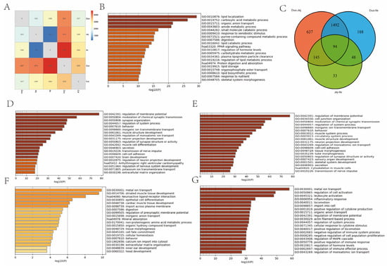The Analysis of Transcriptomes and Microorganisms Reveals Differences ...