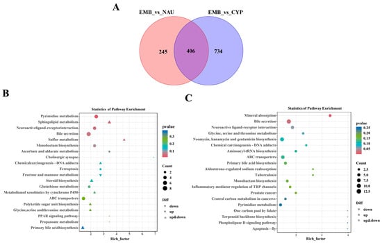 Comprehensive Analysis of Metabolome and Transcriptome Reveals ...