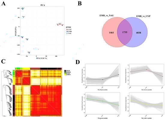 Comprehensive Analysis of Metabolome and Transcriptome Reveals ...