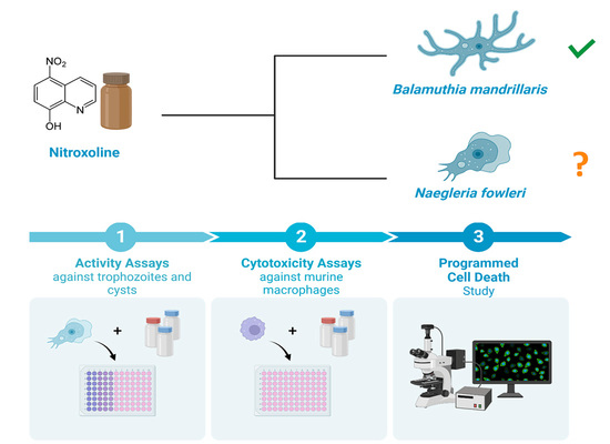 Repurposing of Nitroxoline as an Alternative Primary Amoebic ...