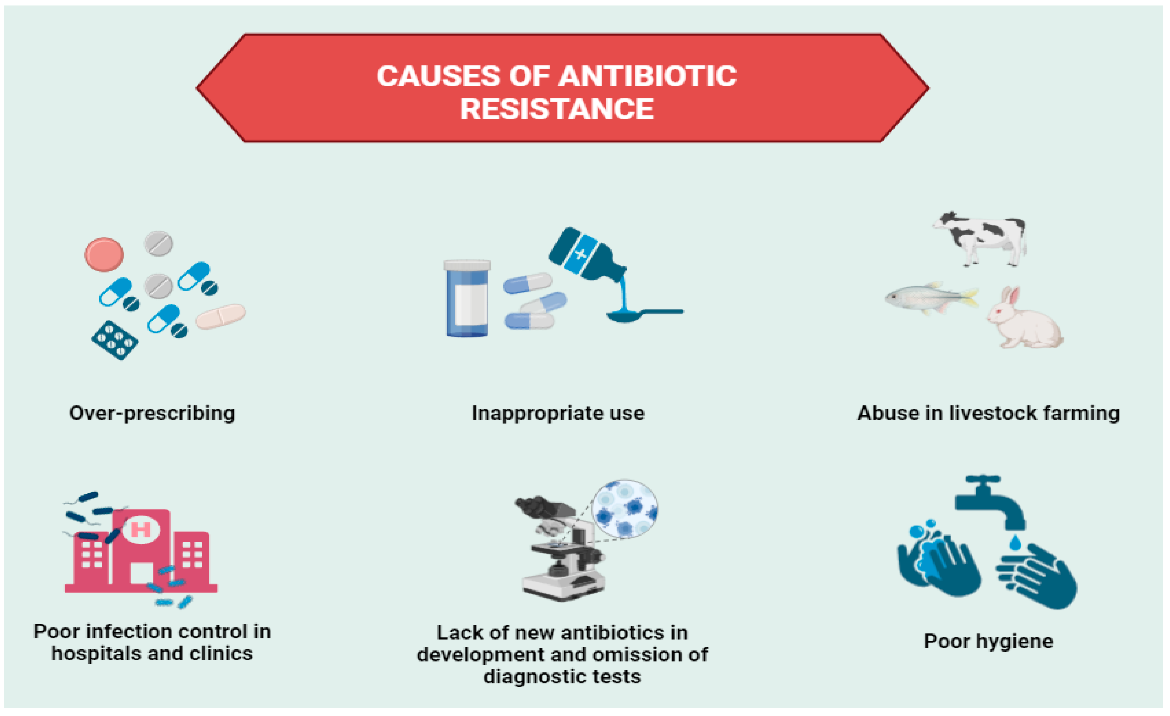 Optimizing Antibiotic Use: Addressing Resistance Through Effective ...