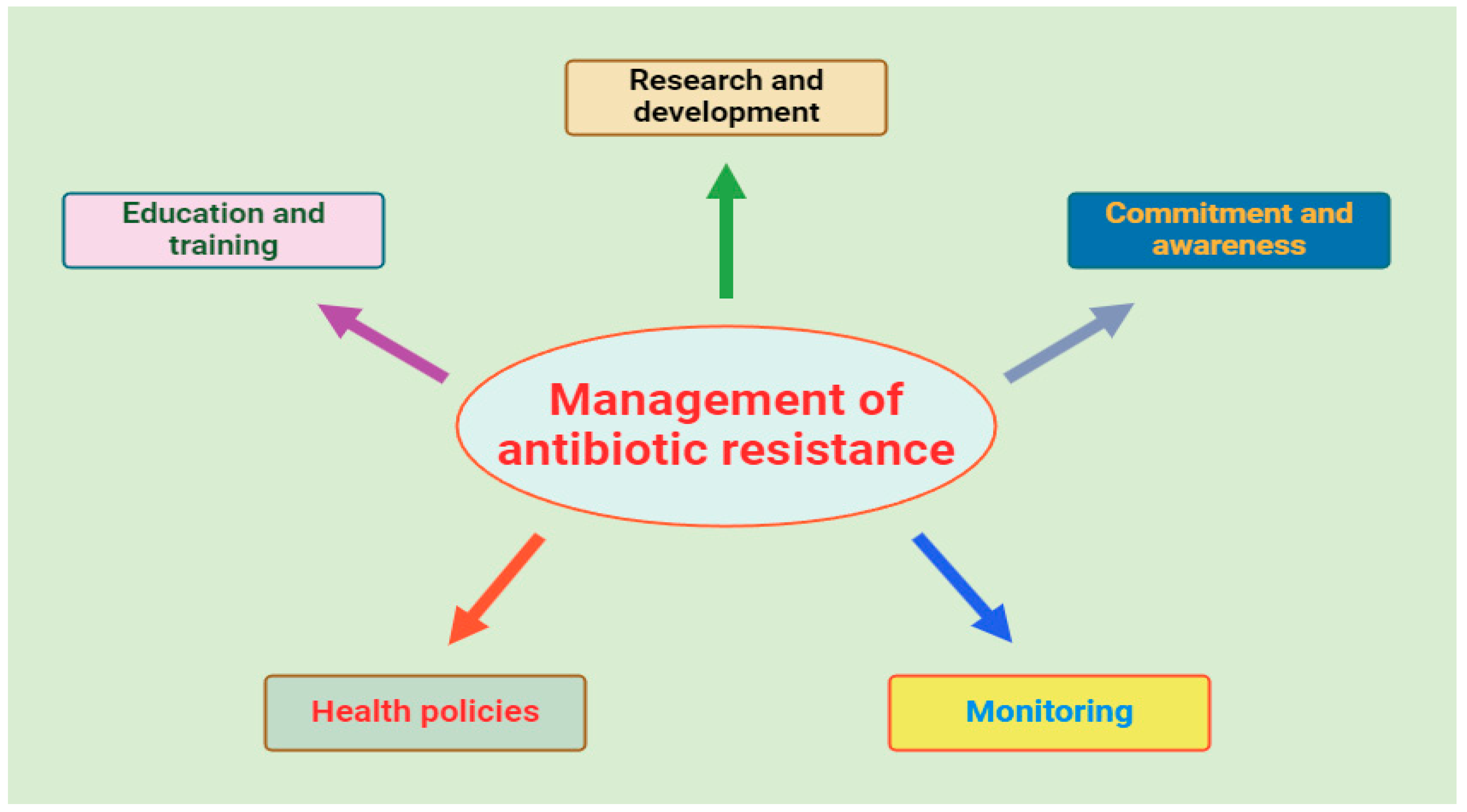 Optimizing Antibiotic Use: Addressing Resistance Through Effective ...