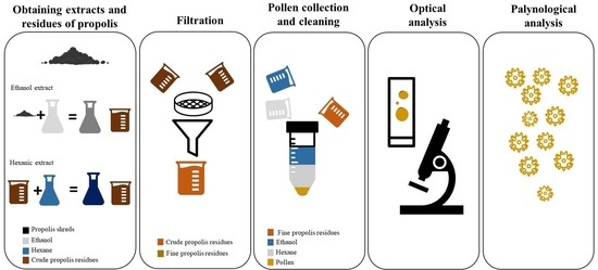 Determination of the Botanical Origin and Physicochemical Properties of ...