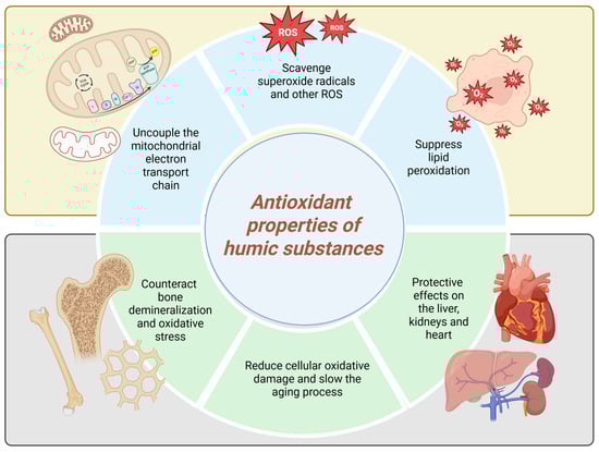 Biomedical Applications of Humic Substances: From Natural Biopolymers ...