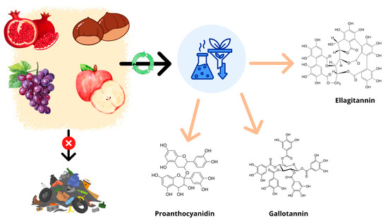 Antioxidant and Health-Related Effects of Tannins: From Agri-Food By ...
