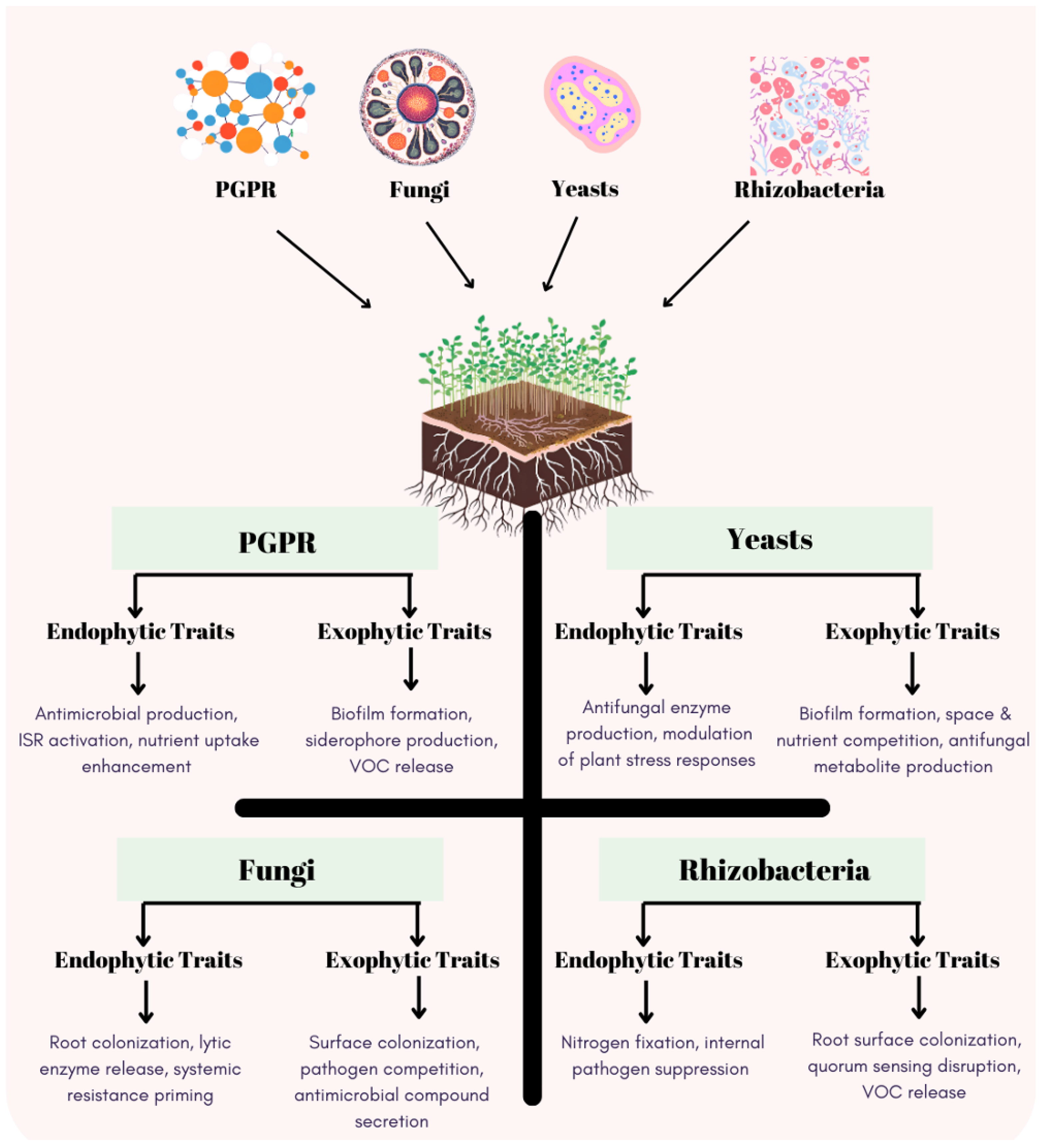 Plant Growth-Promoting Microorganisms as Biocontrol Agents: Mechanisms ...