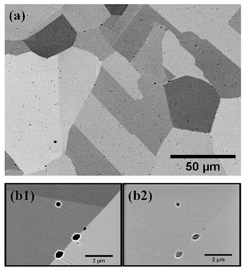 Microstructure and Mechanical Properties of AISI 316L Produced by ...