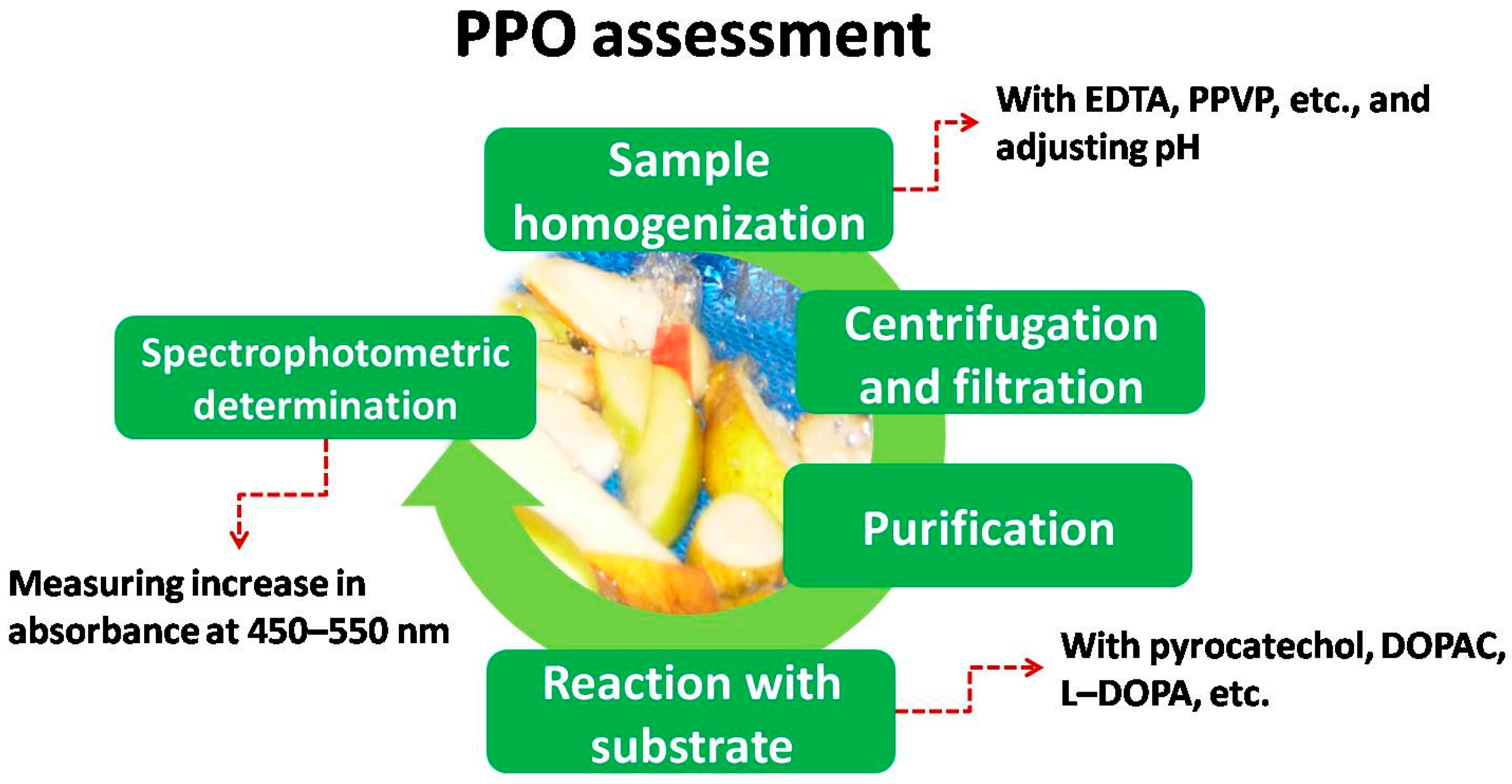 Polyphenoloxidase (PPO): Effect, Current Determination and Inhibition ...