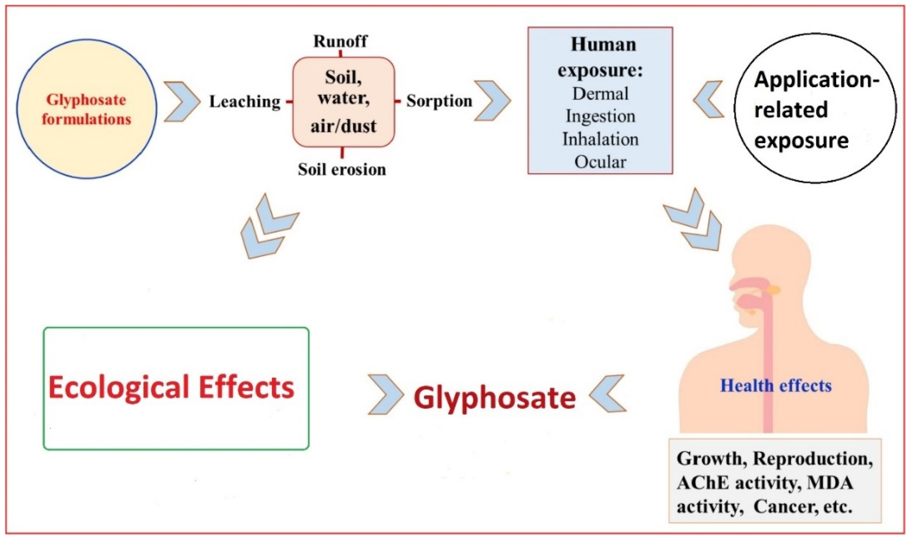 Review of Glyphosate-Based Herbicide and Aminomethylphosphonic Acid ...