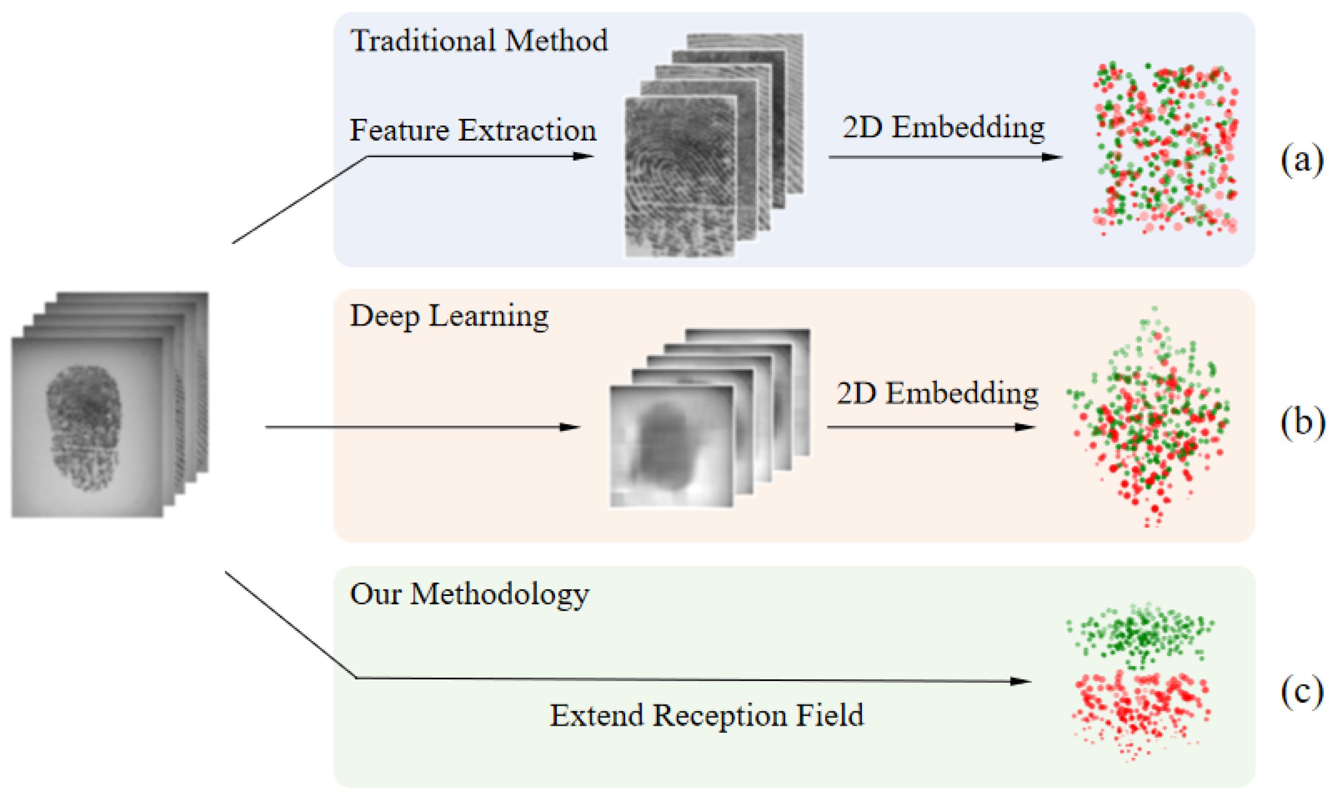 Extracting Fingerprint Features Using Autoencoder Networks for Gender ...