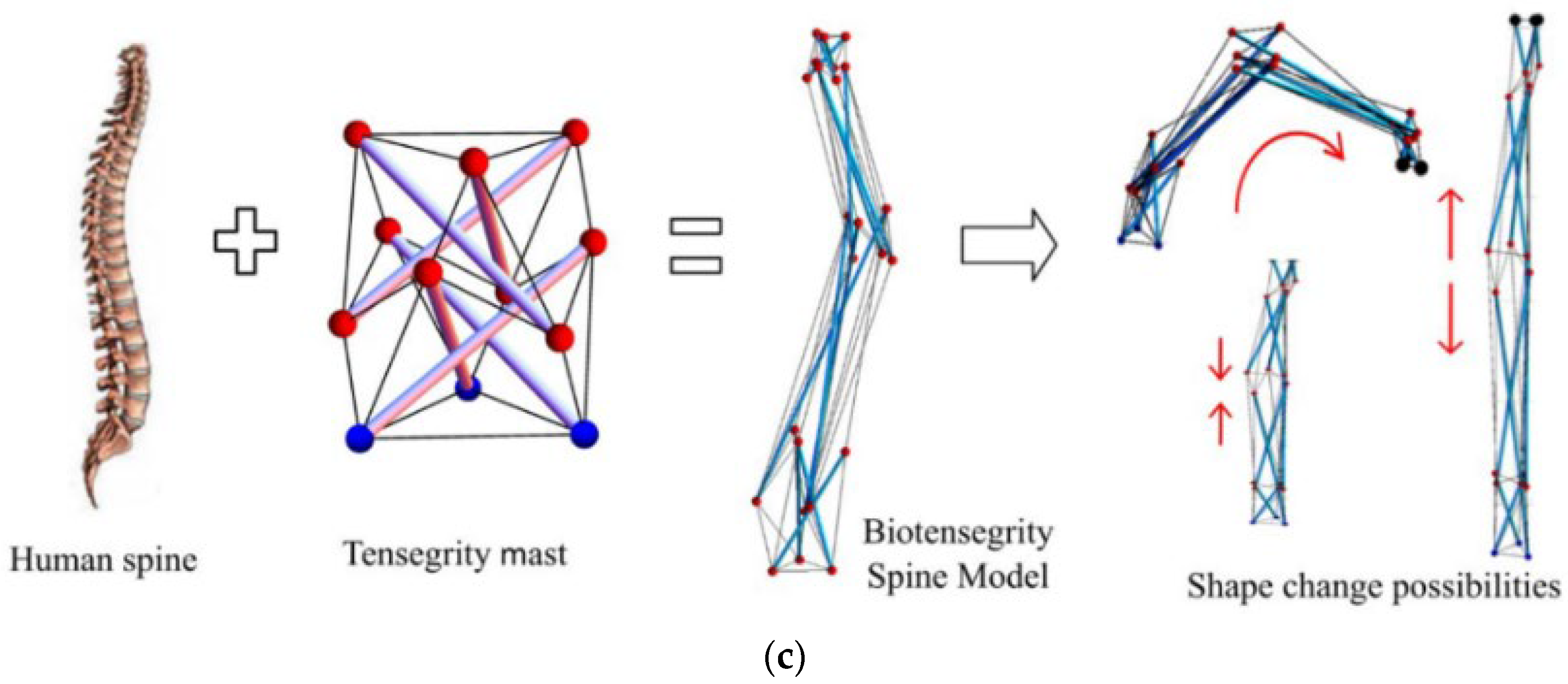 Tensegrity Applications to Architecture, Engineering and Robotics: A ...