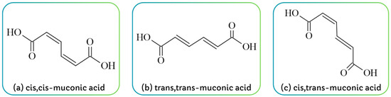 Recent Advances in Muconic Acid Extraction Process | MDPI