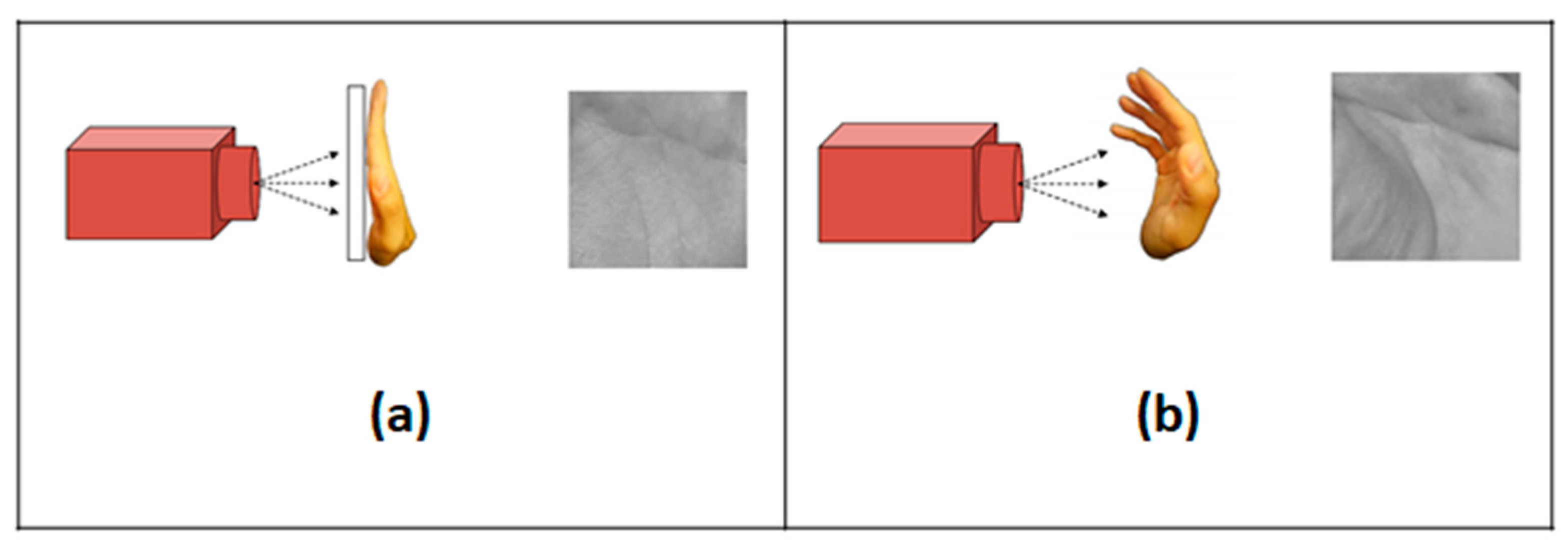 Palmprint Recognition: Extensive Exploration of Databases, Methodologies, Comparative Assessment ...