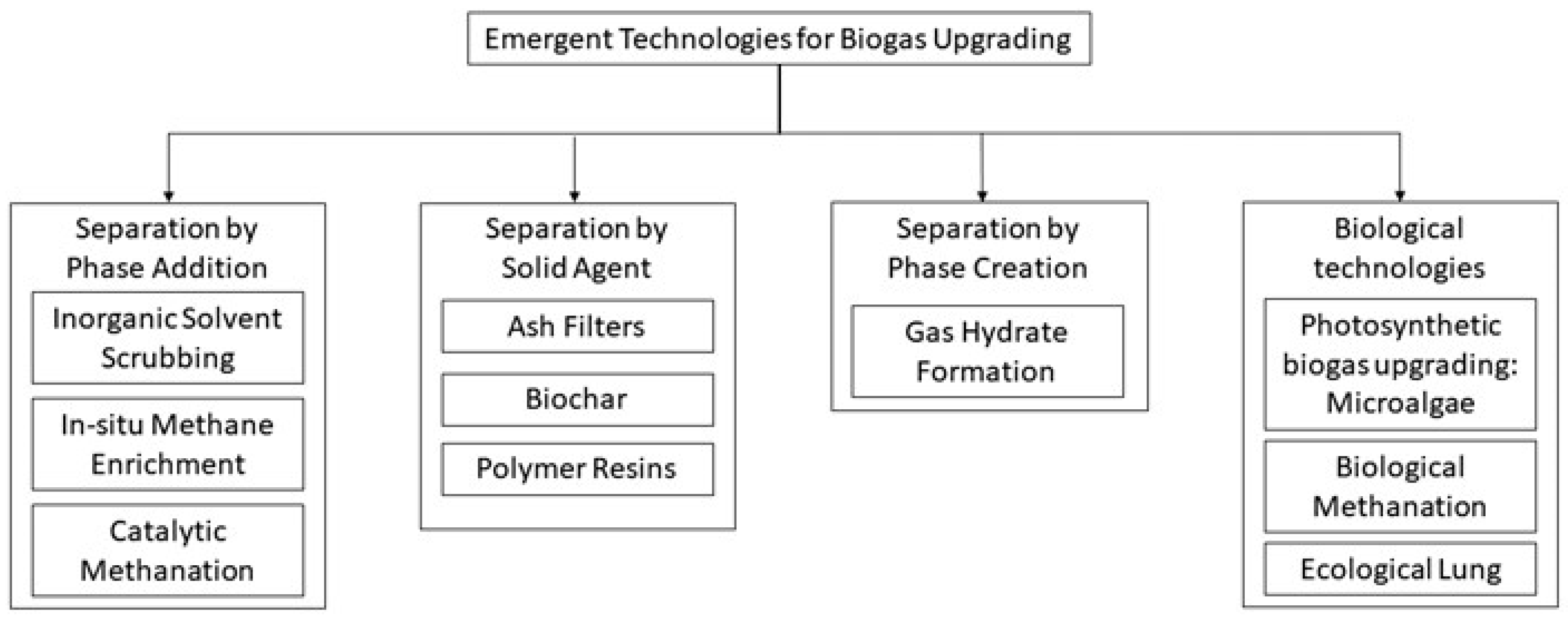 From Biogas to Biomethane: An In-Depth Review of Upgrading Technologies ...
