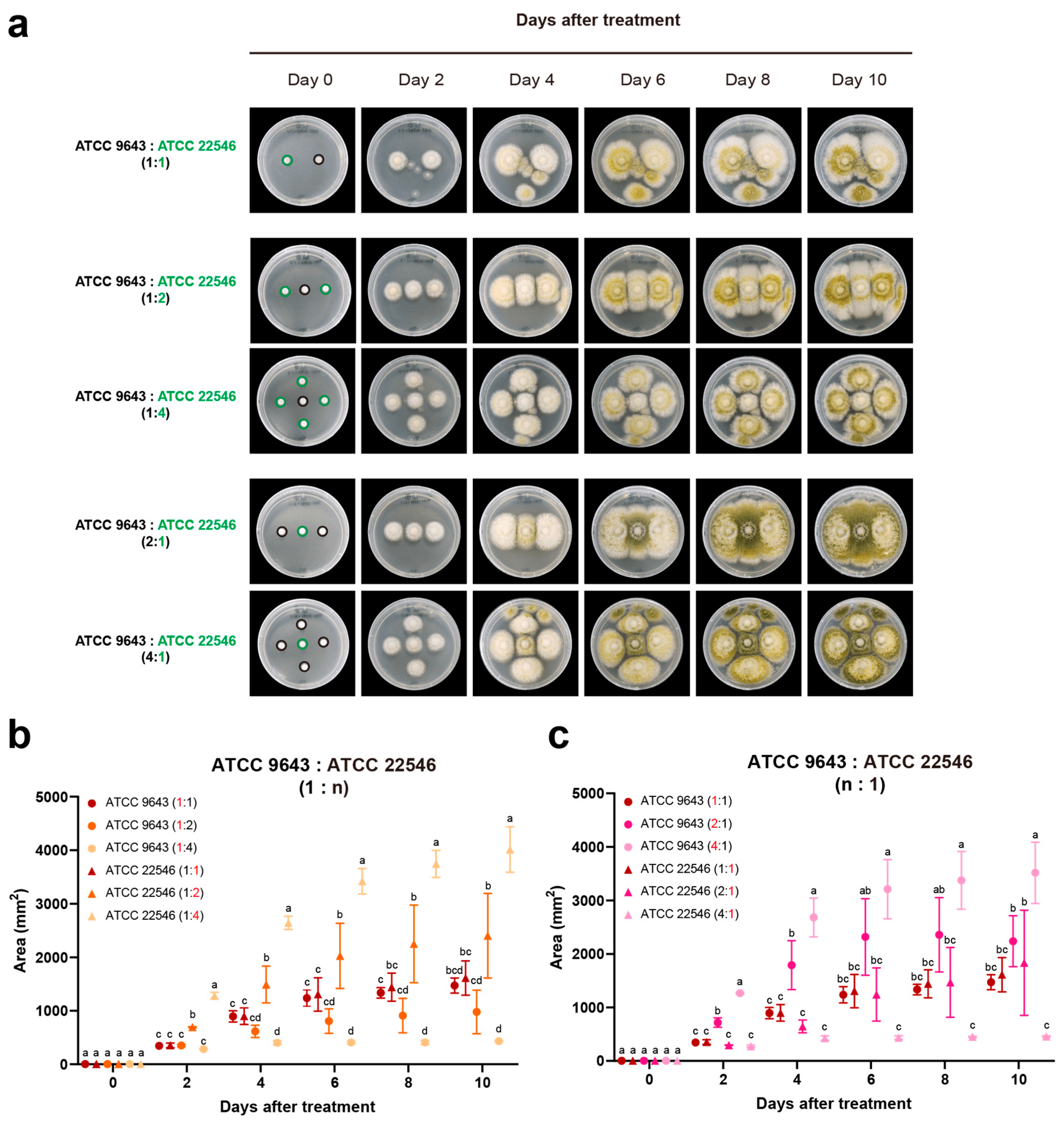 Biocontrol of Aflatoxin-Producing Aspergillus flavus ATCC 22546 by a ...