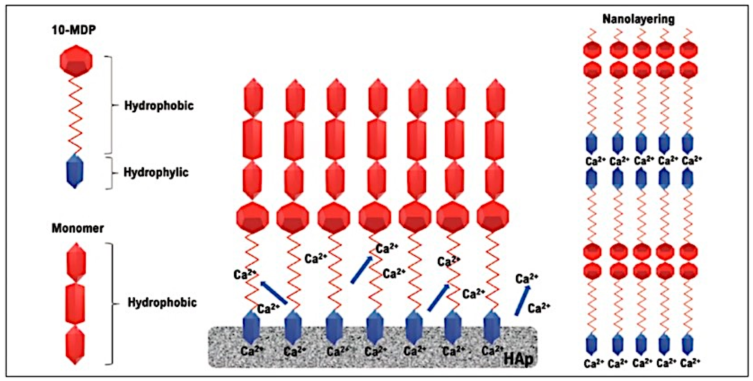A Literature Review of Adhesive Systems in Dentistry: Key Components ...