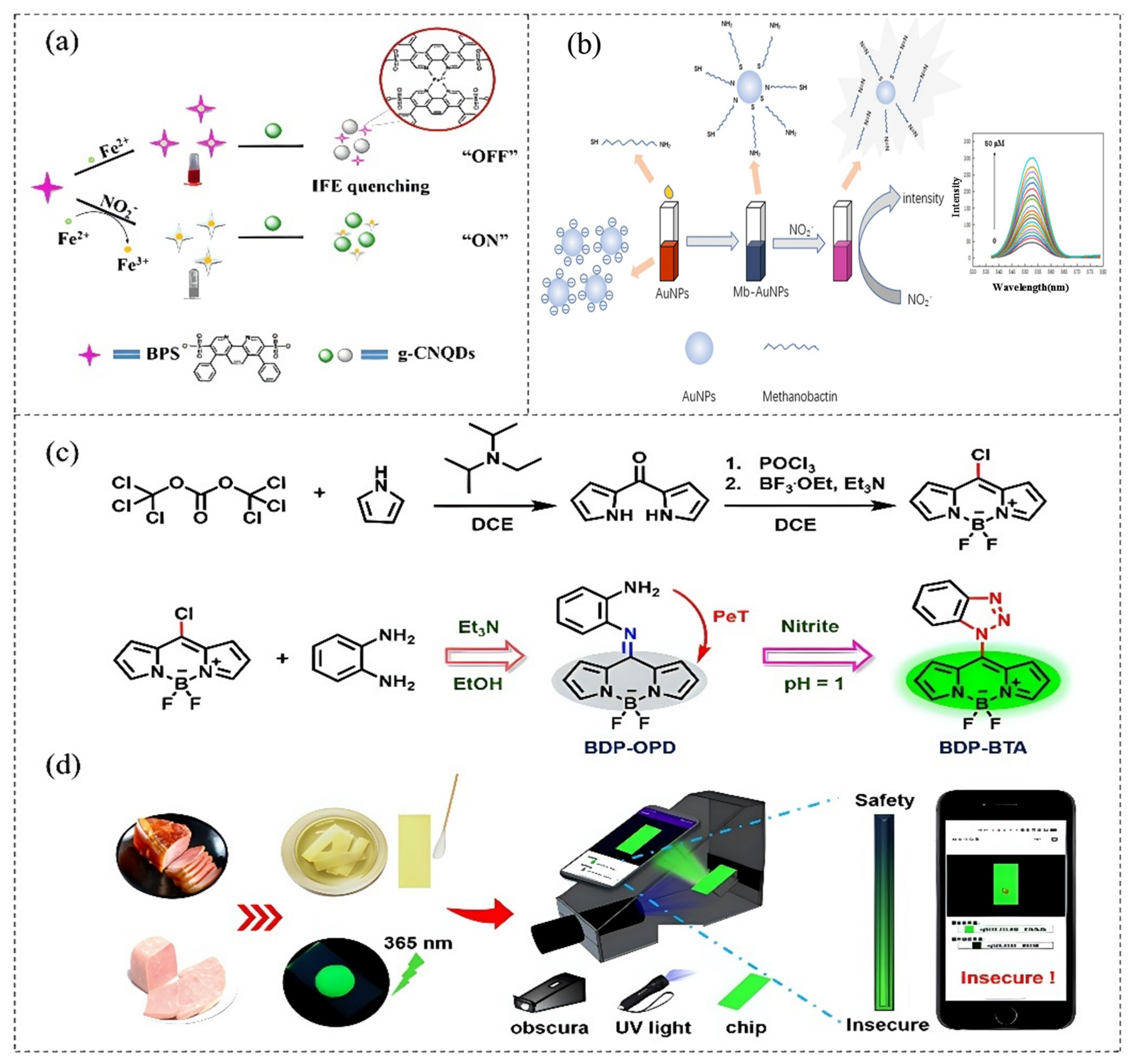 Nitrite: From Application to Detection and Development | MDPI