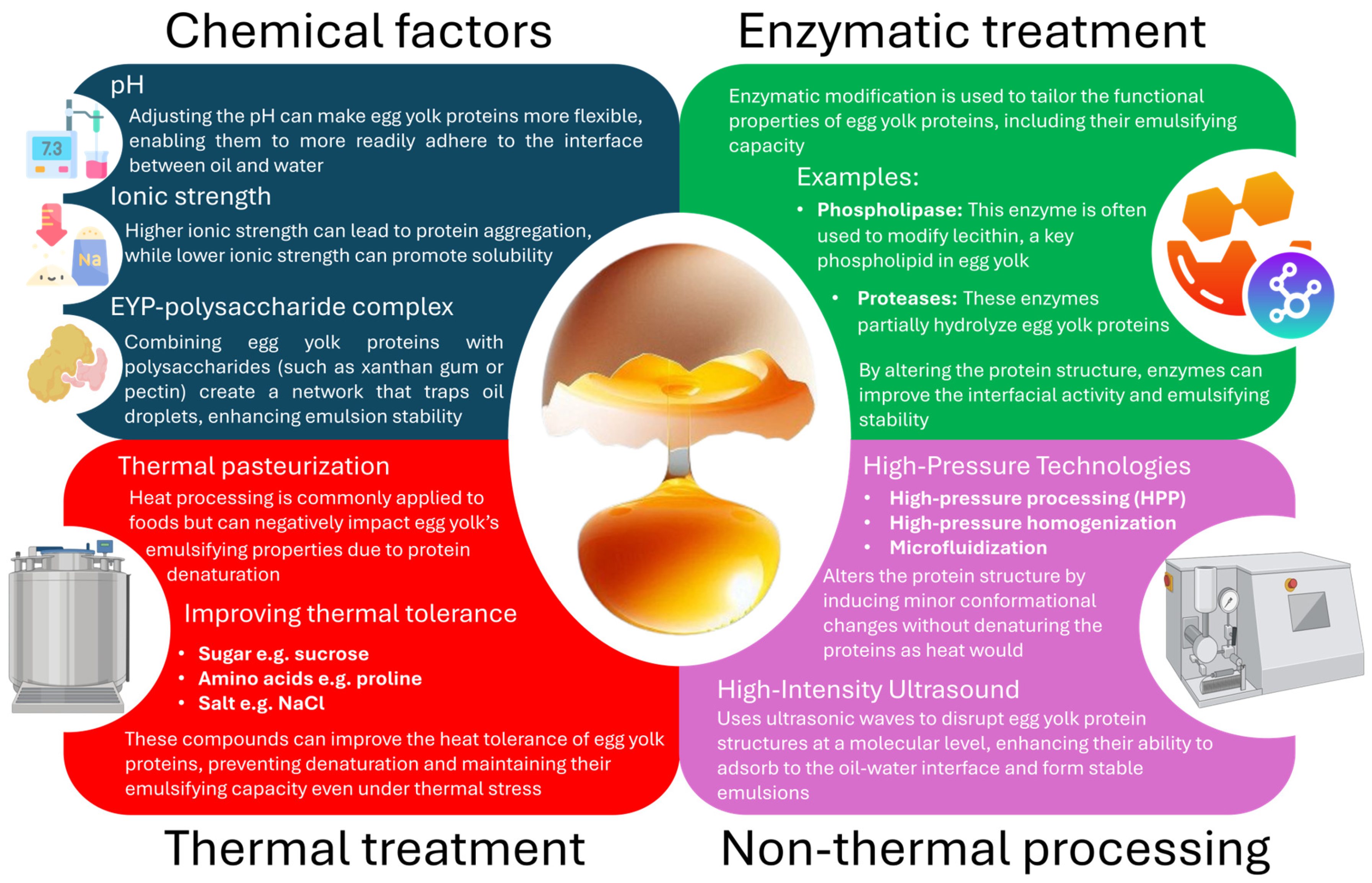 Egg Yolk, a Multifunctional Emulsifier: New Insights on Factors ...