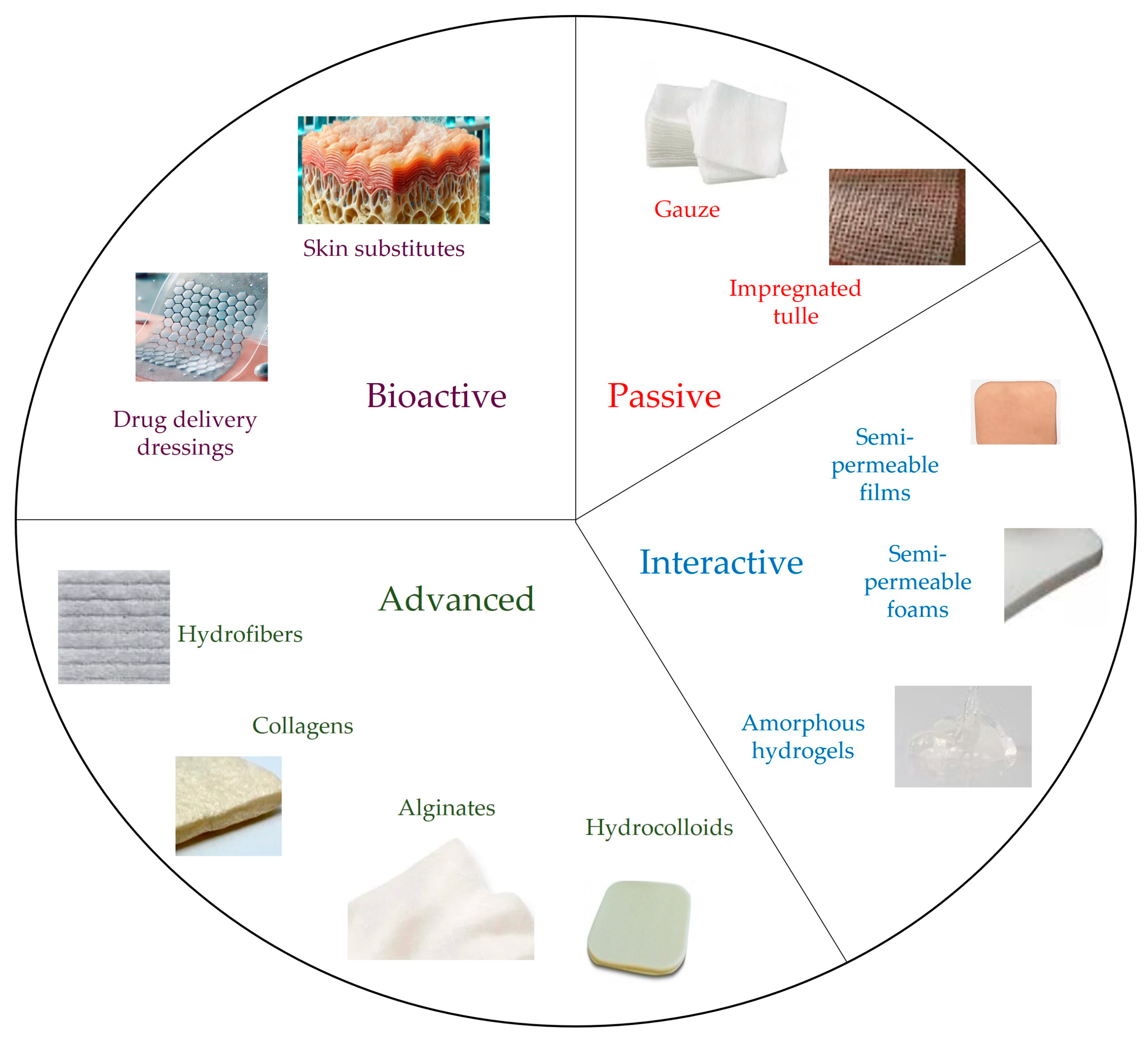 Wound Dressing Materials: Bridging Material Science and Clinical ...